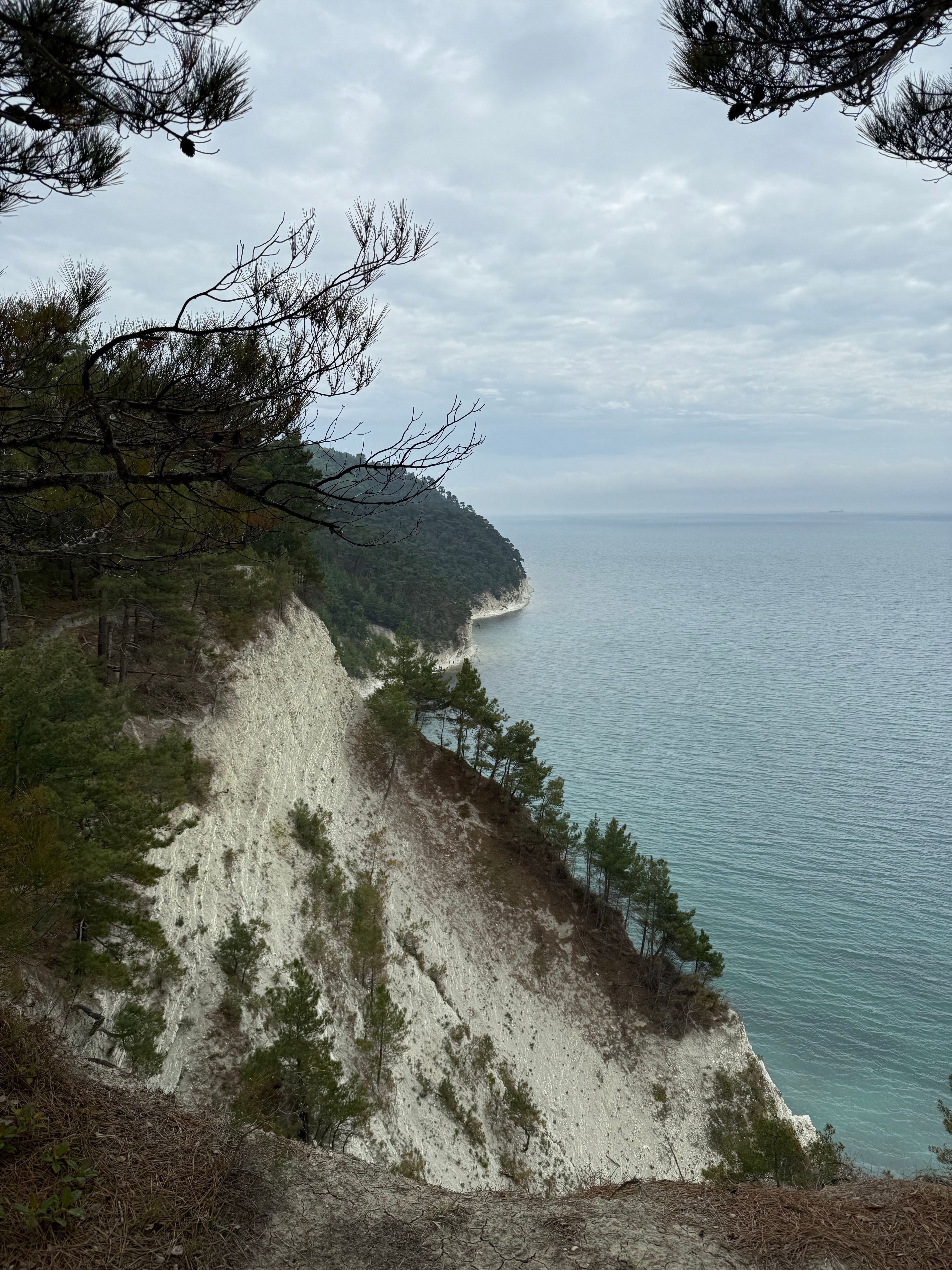 Scenic Coastal Cliff Overlooking Serene Sea · Free Stock Photo