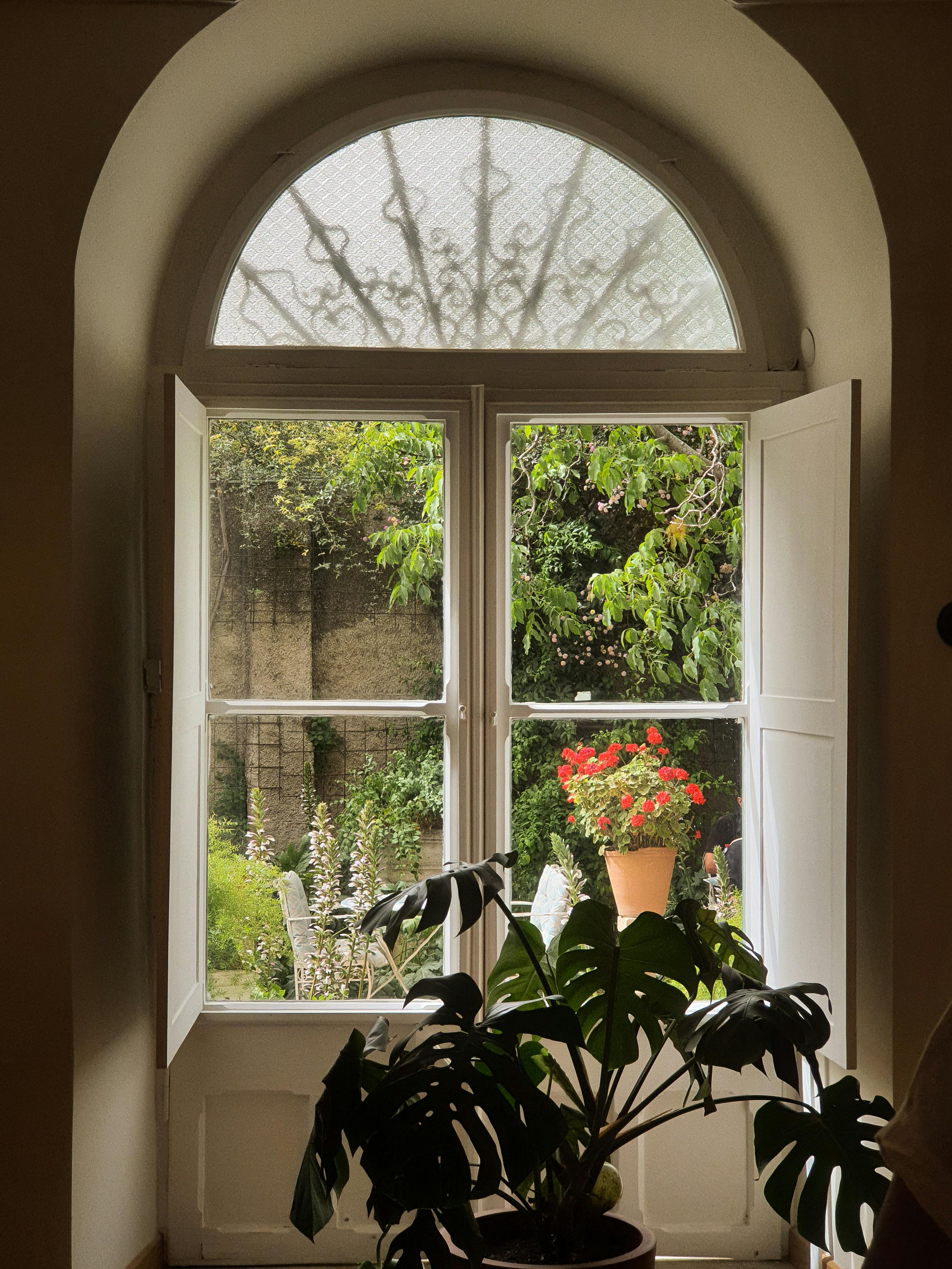 Arched Window Photos, Download The BEST Free Arched Window Stock Photos ...