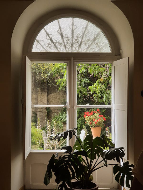 Arched Window Photos, Download The BEST Free Arched Window Stock Photos ...