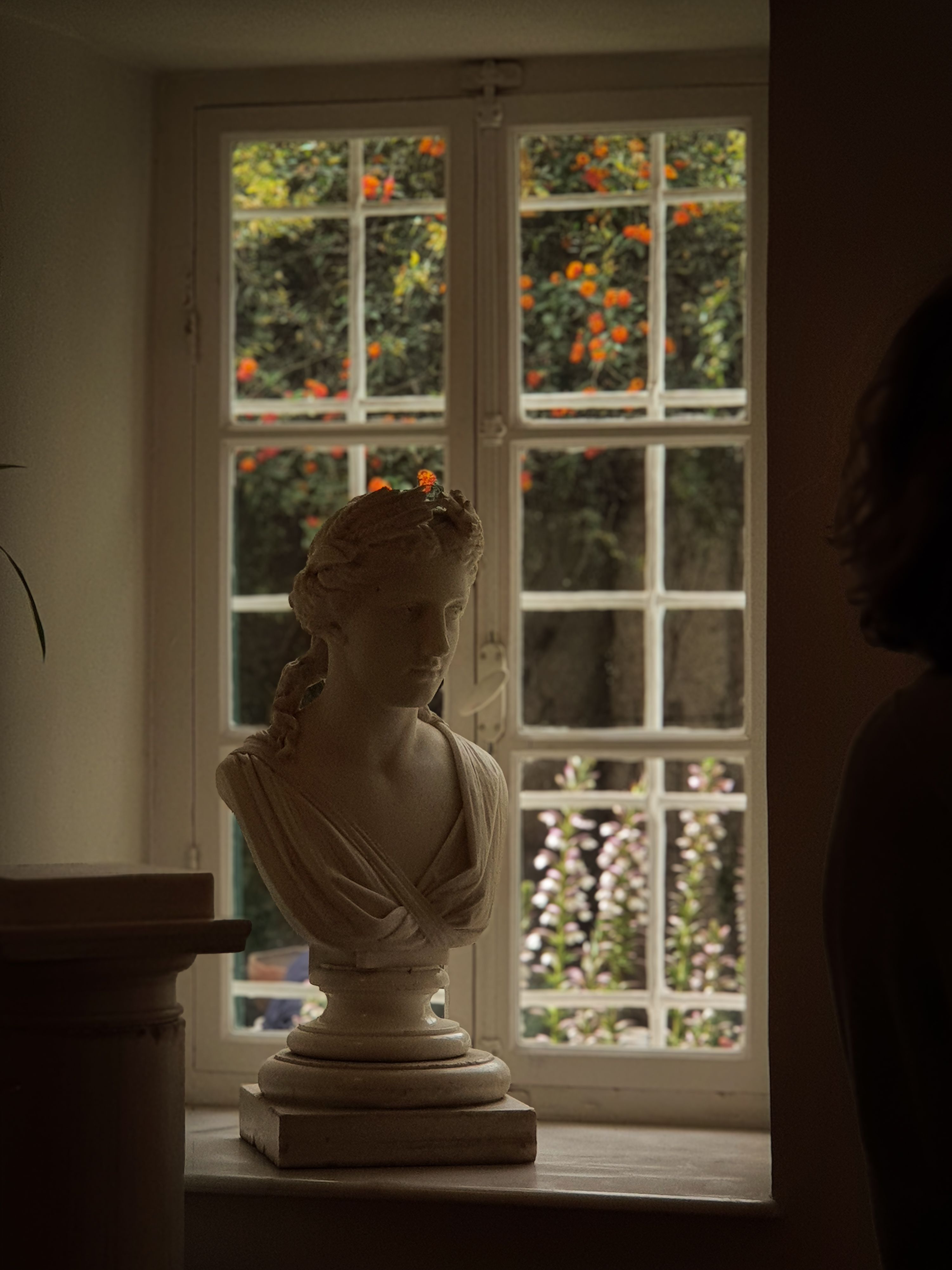 Bust Of Woman Photos, Download The BEST Free Bust Of Woman Stock Photos ...