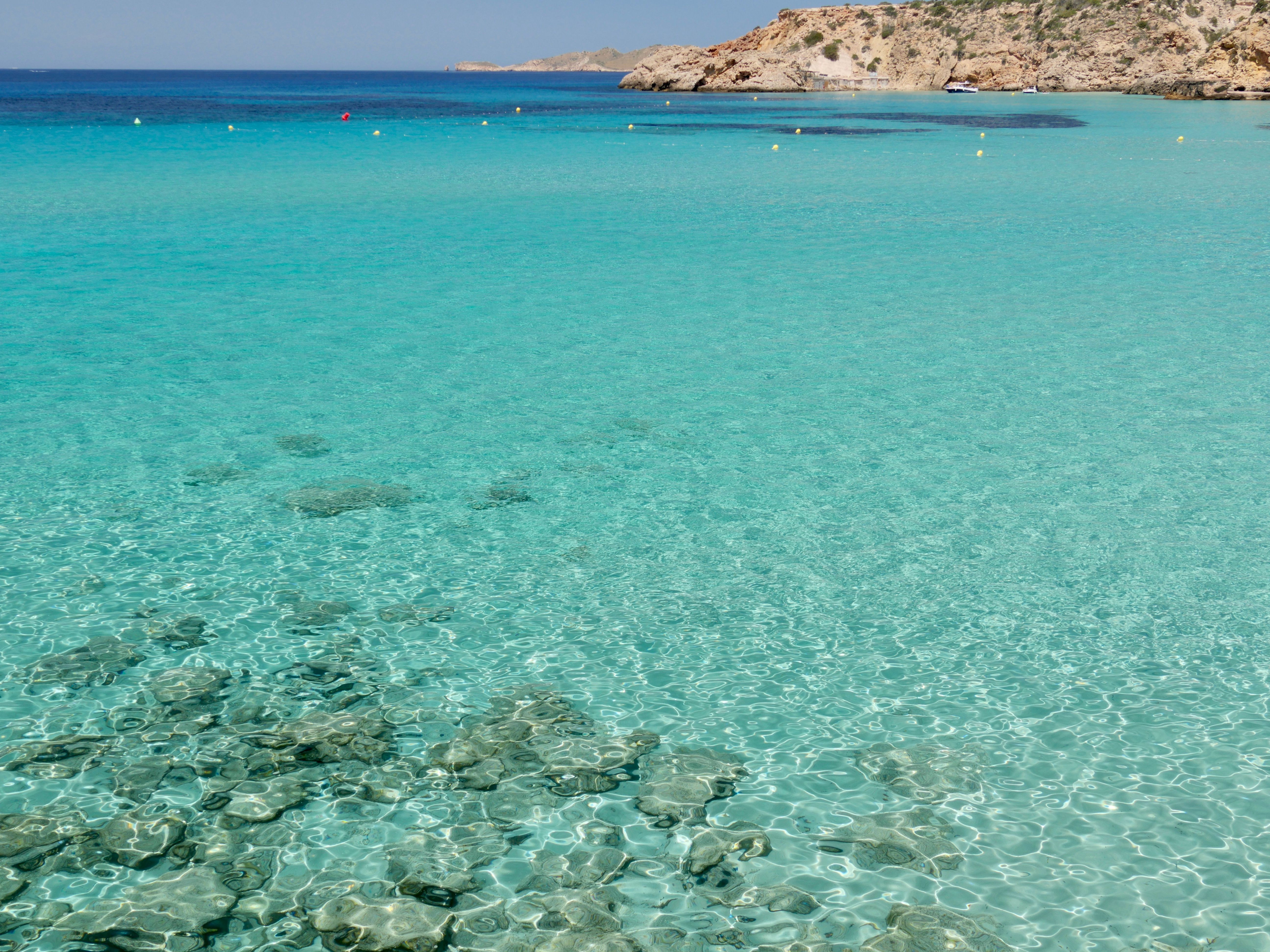 Tranquila Playa De Cala Tarida En Ibiza · Foto de stock gratuita