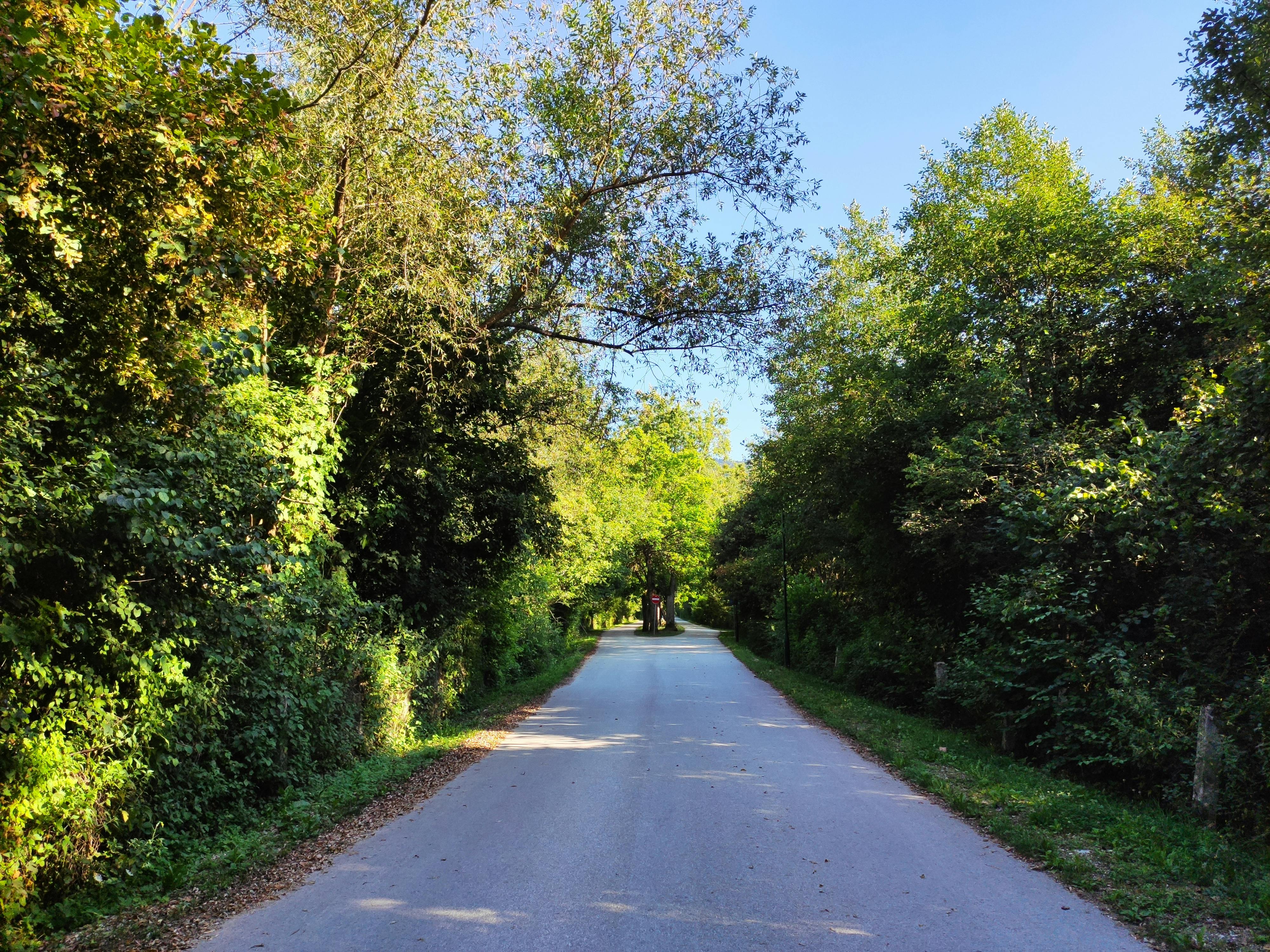 Scenic Road through Forest in Ilidža Bosnia · Free Stock Photo