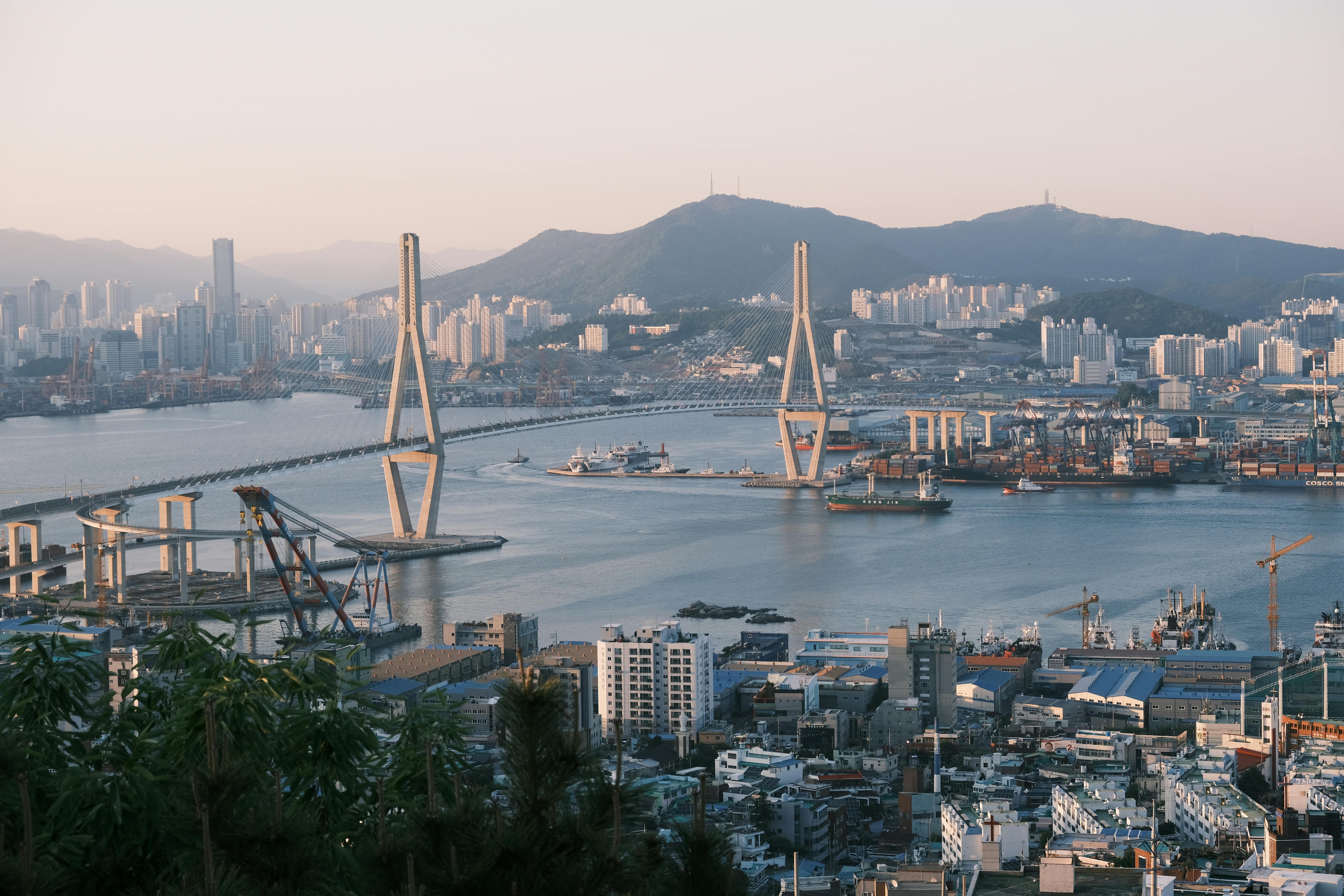 Panoramic View of Busan with Iconic Bridge · Free Stock Photo