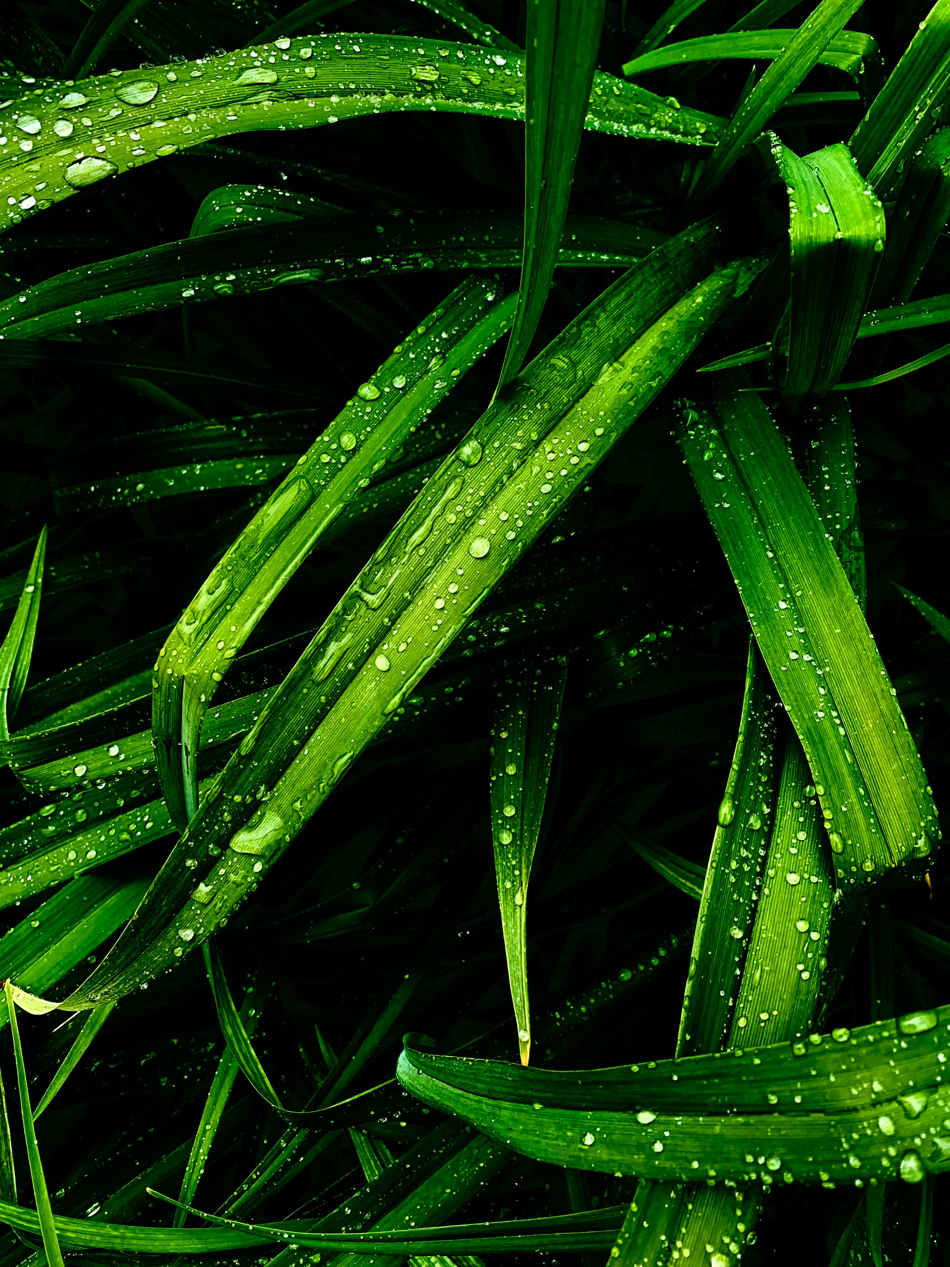 Background Tacture Photos, Download The BEST Free Background Tacture ...