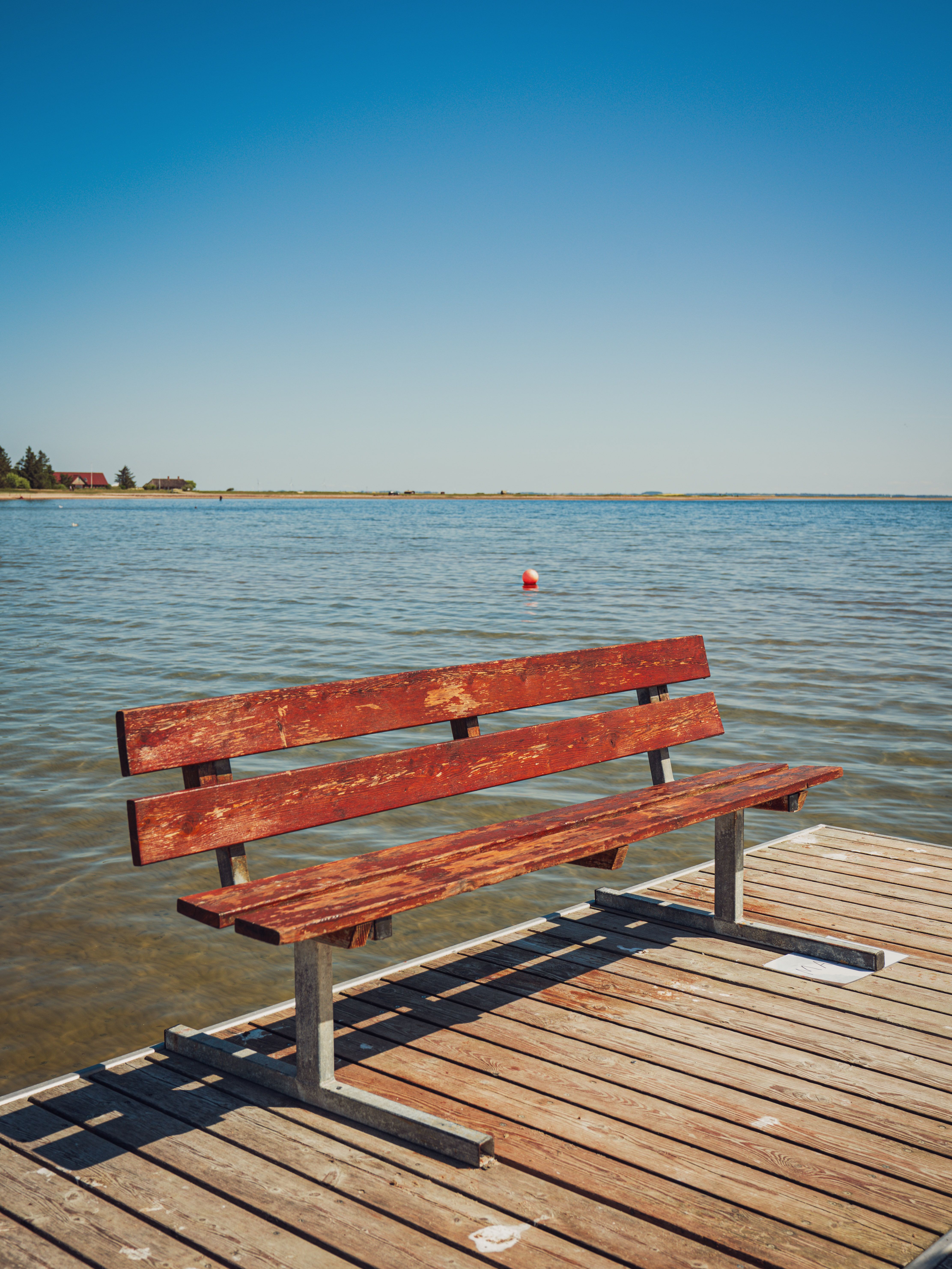 Tranquil Wooden Bench on Danish Waterfront · Free Stock Photo