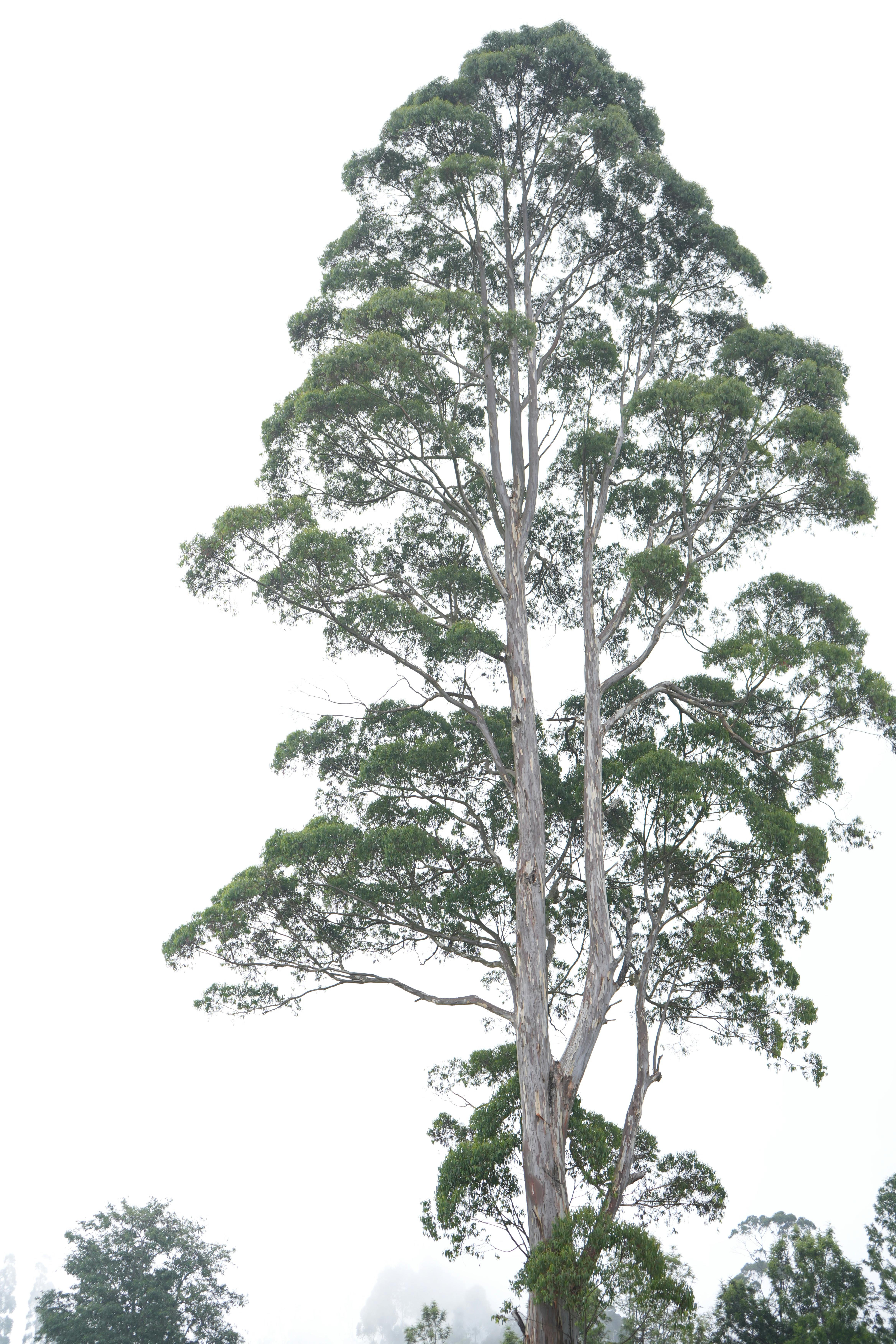 Height Maps Photos, Download The BEST Free Height Maps Stock Photos ...