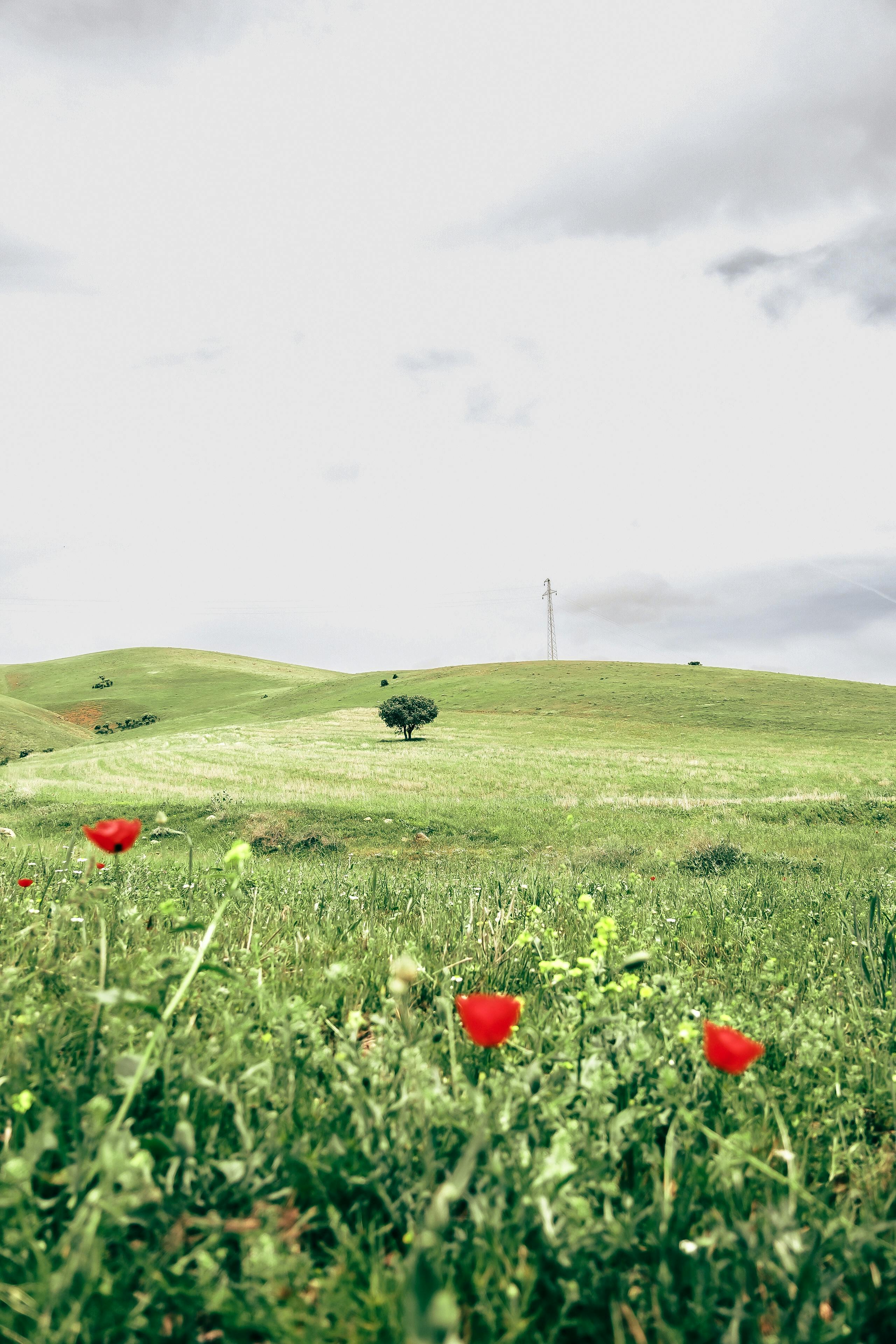 Rolling+Darkxquake Photos, Download The BEST Free Rolling+Darkxquake ...