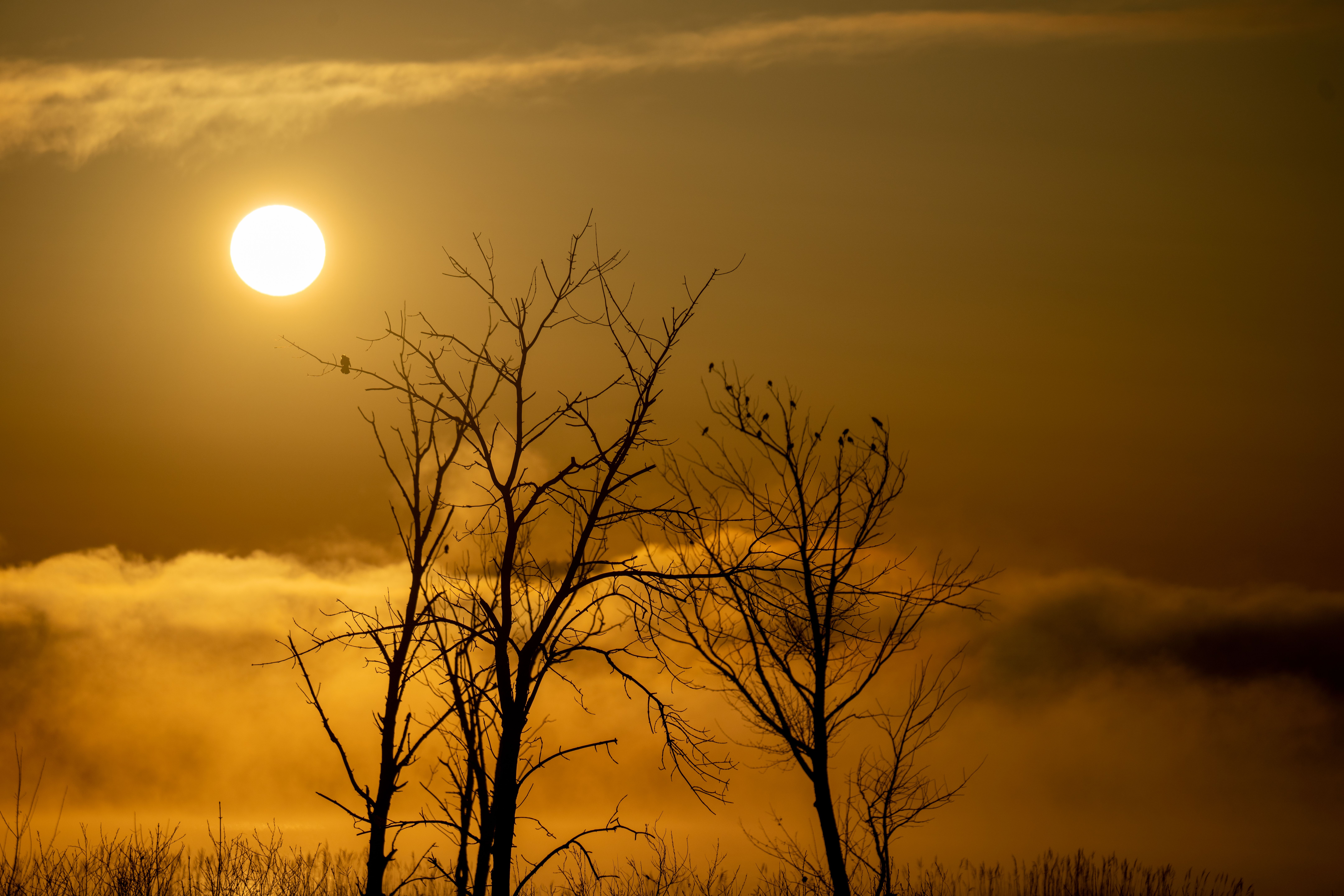 Serene Sunset Over Weaver, Minnesota Landscape · Free Stock Photo