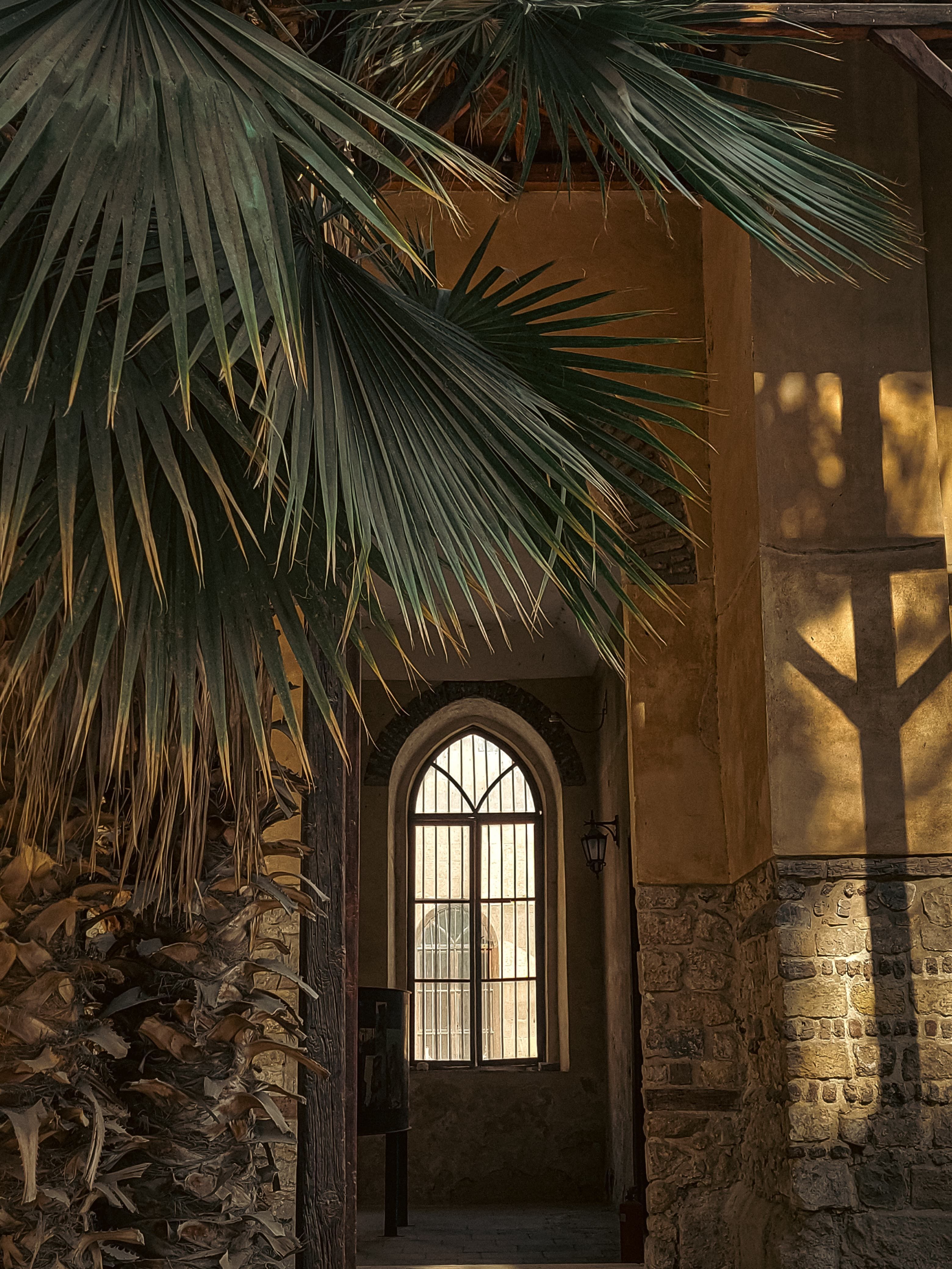 Historic Stone Building with Palm Shadows · Free Stock Photo