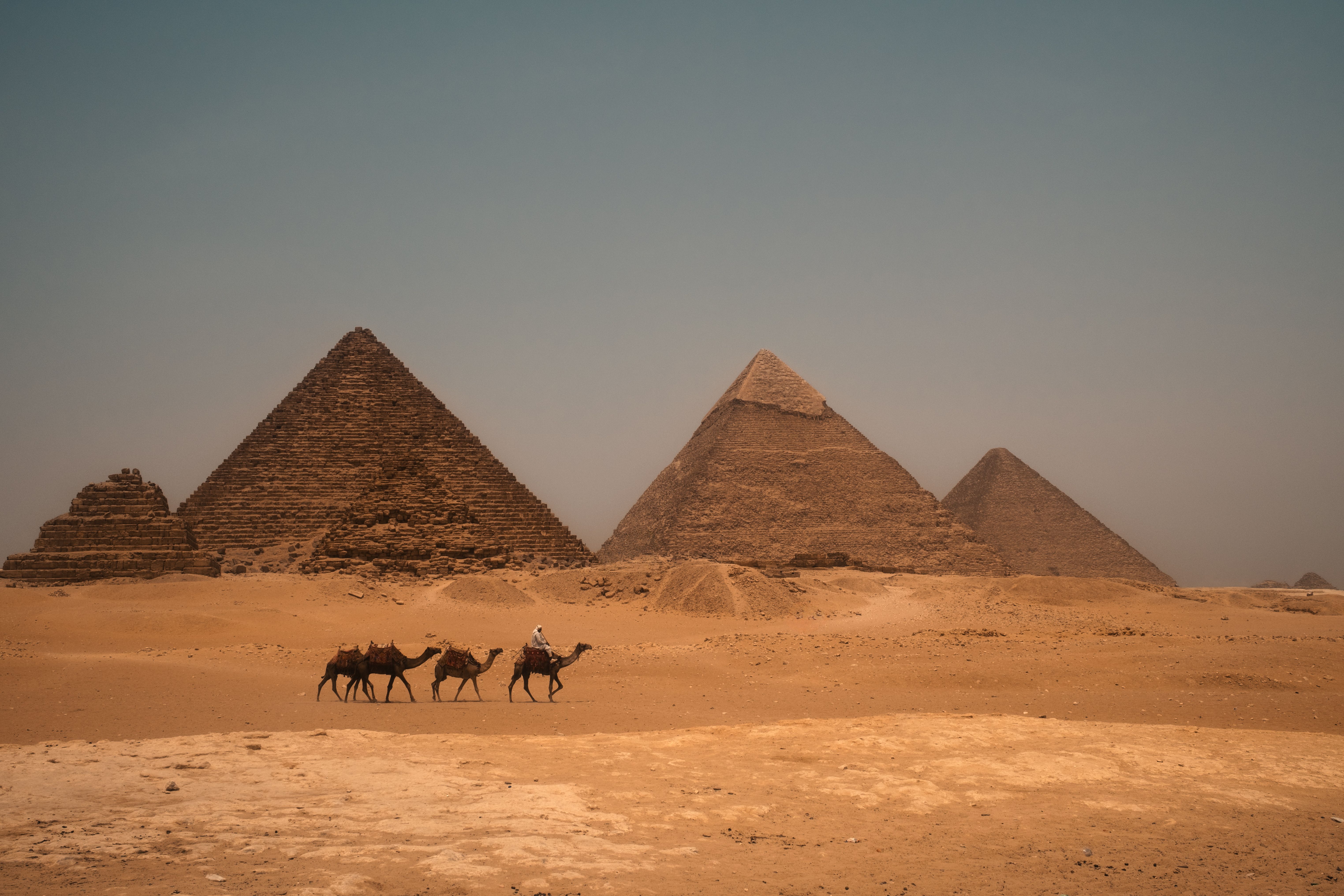 Four People Riding on Camels Across the Pyramids · Free Stock Photo