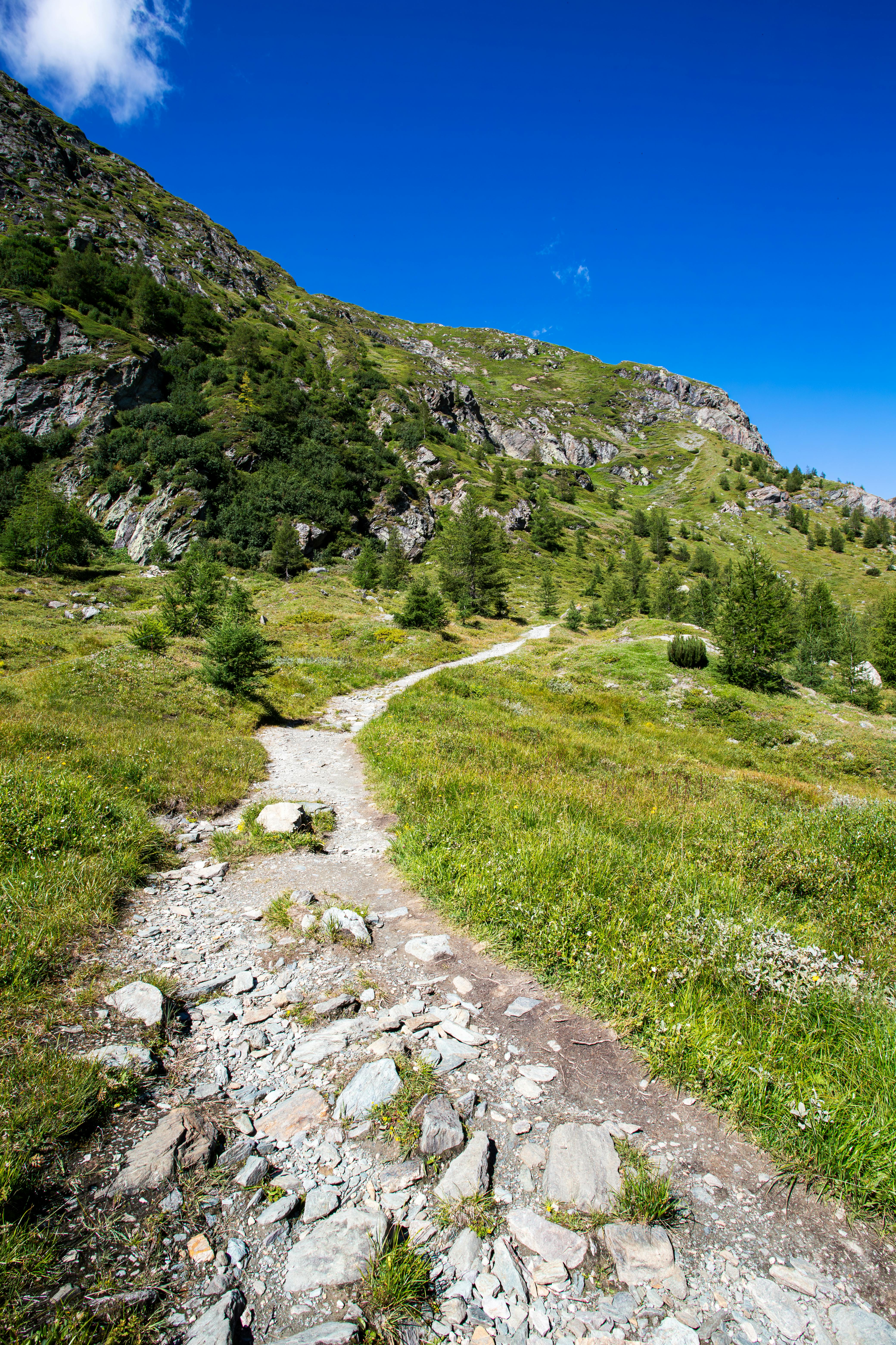 Scenic Alpine Path in Korutany Mountains · Free Stock Photo
