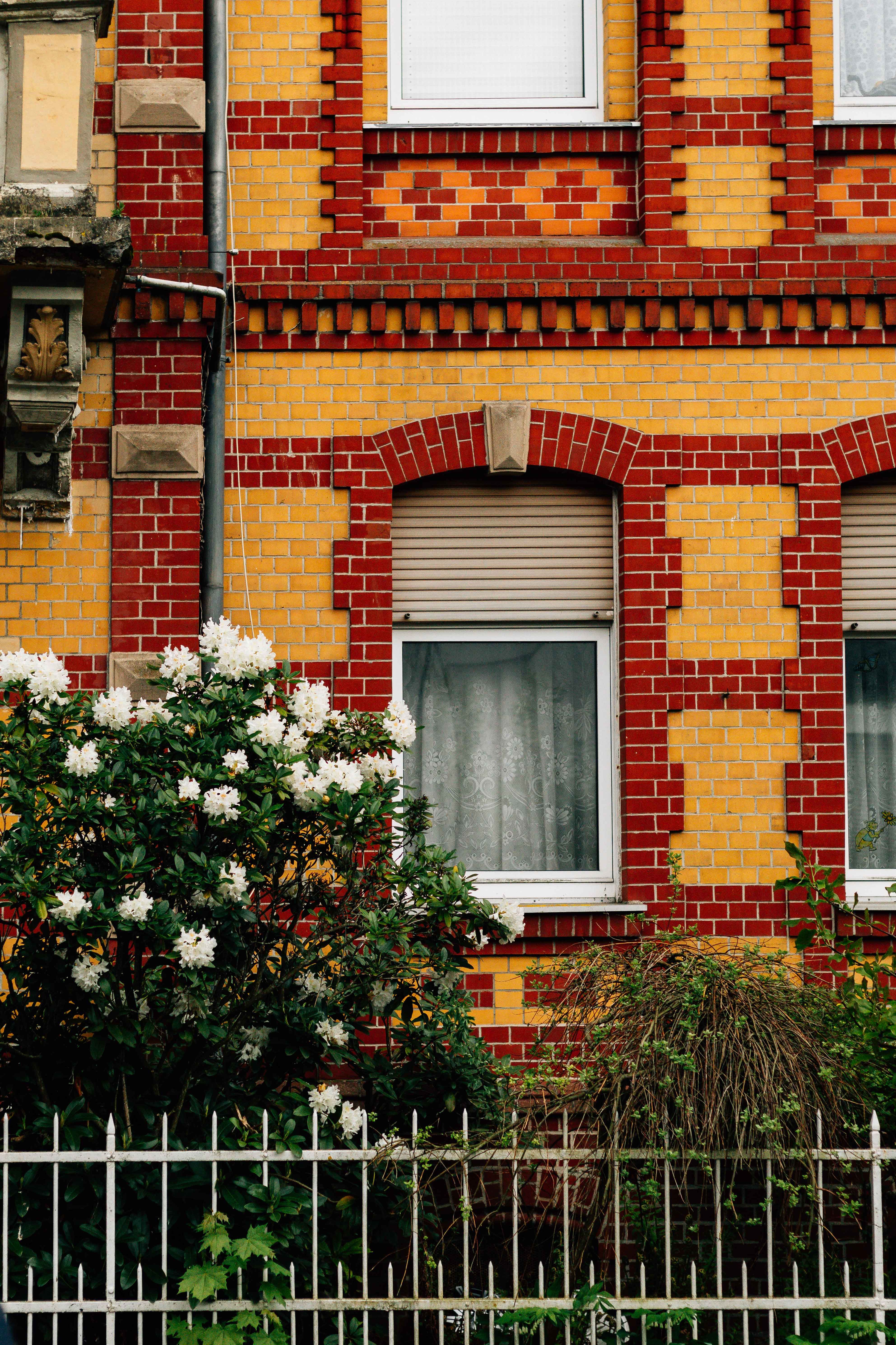 Charming Brick Facade with Blooming Bush · Free Stock Photo