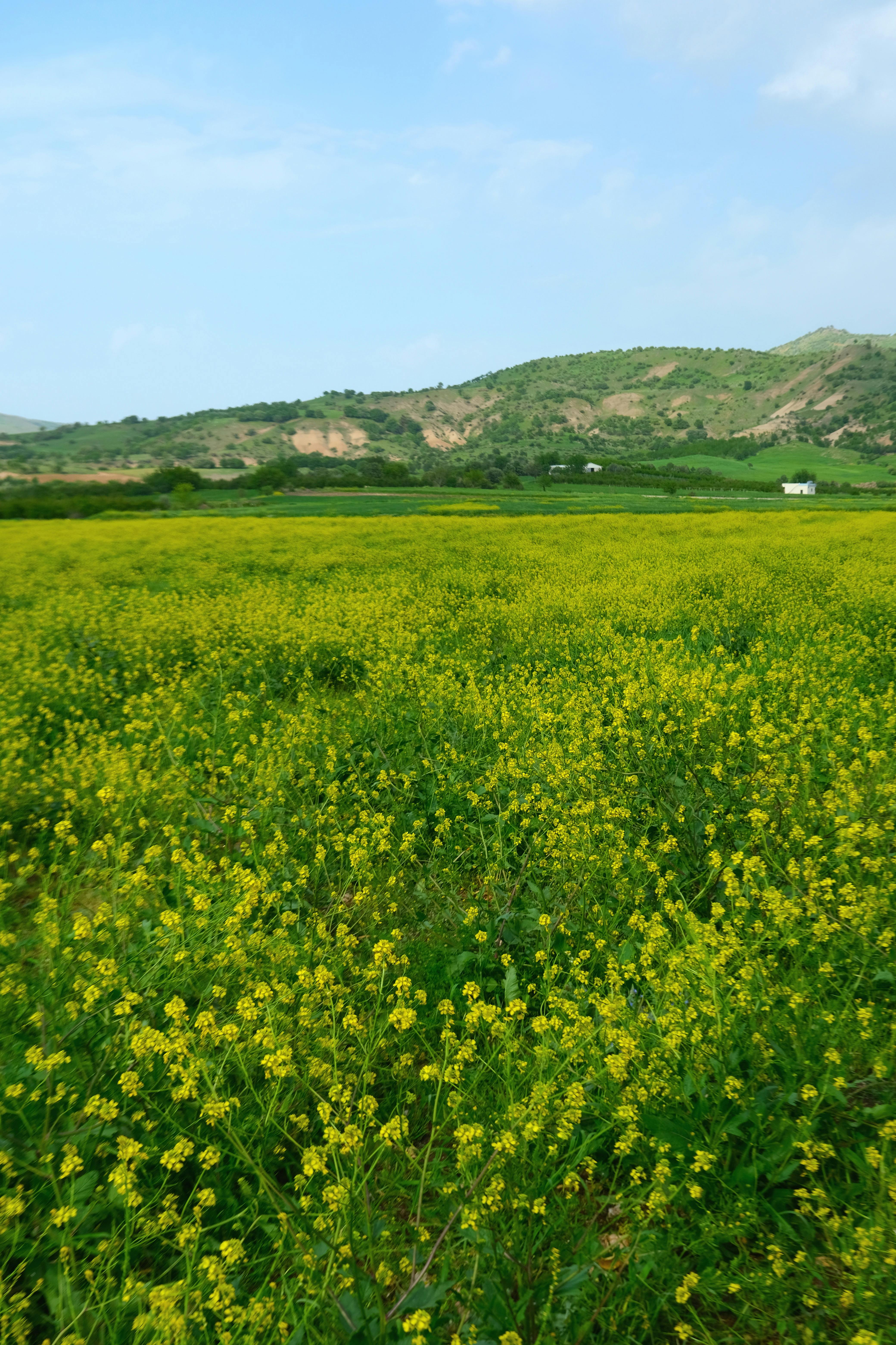 Lucid View Photos, Download The BEST Free Lucid View Stock Photos & HD ...