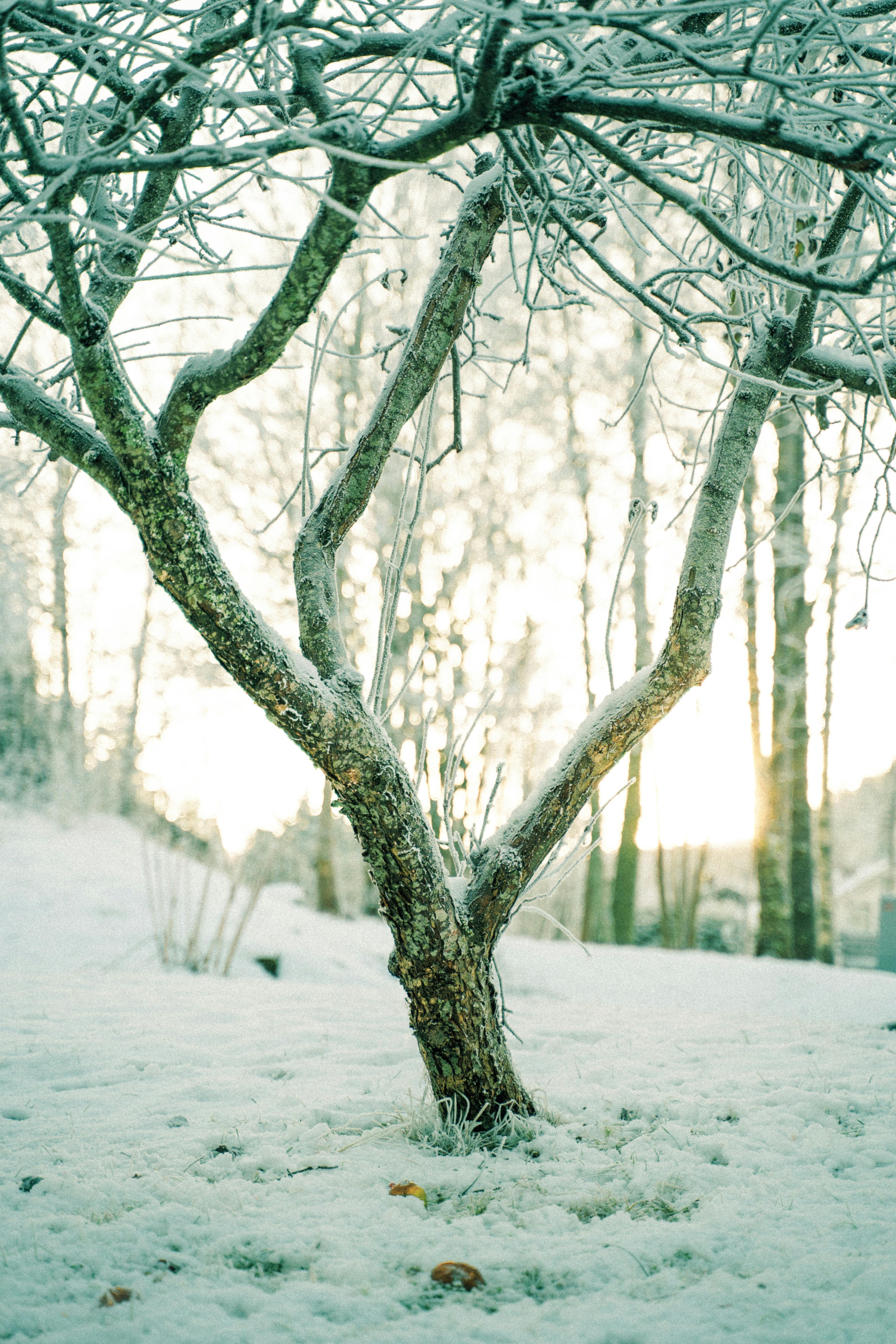 Refreshing Photos, Download The BEST Free Refreshing Stock Photos & HD ...