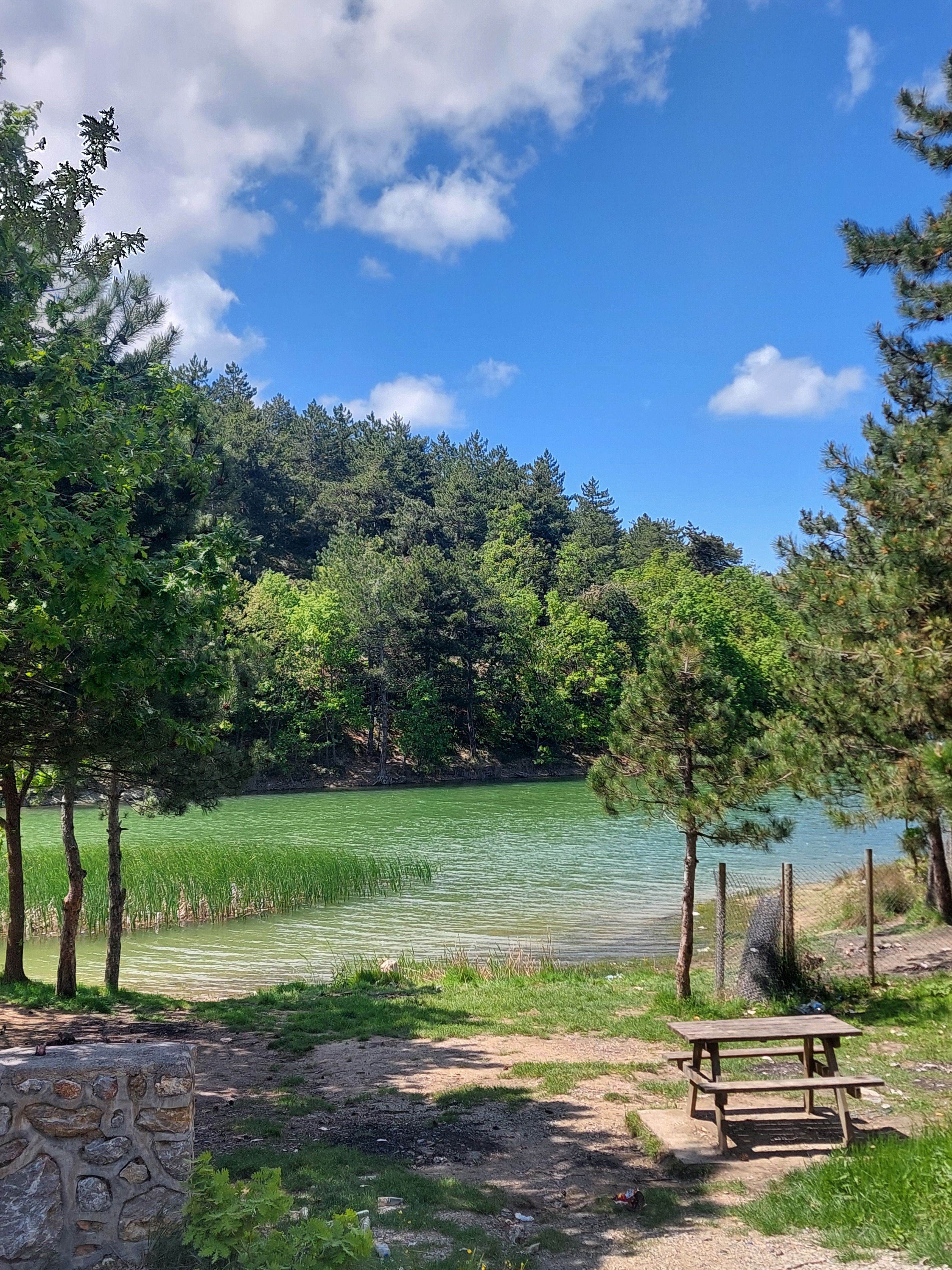 Scenic Lakeside View with Picnic Table · Free Stock Photo