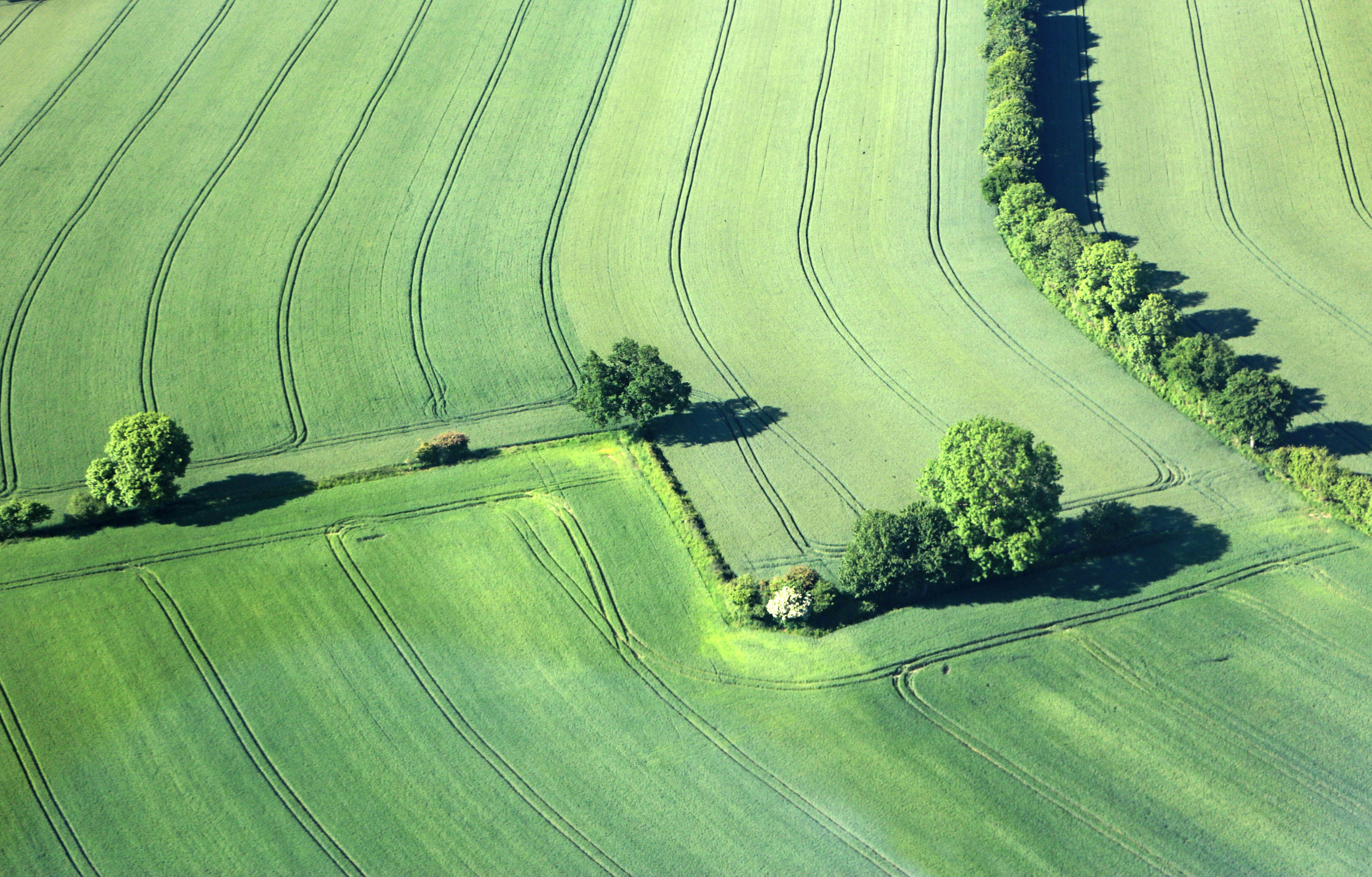 Aerial View of Green Fields in Bréhal, Normandy · Free Stock Photo