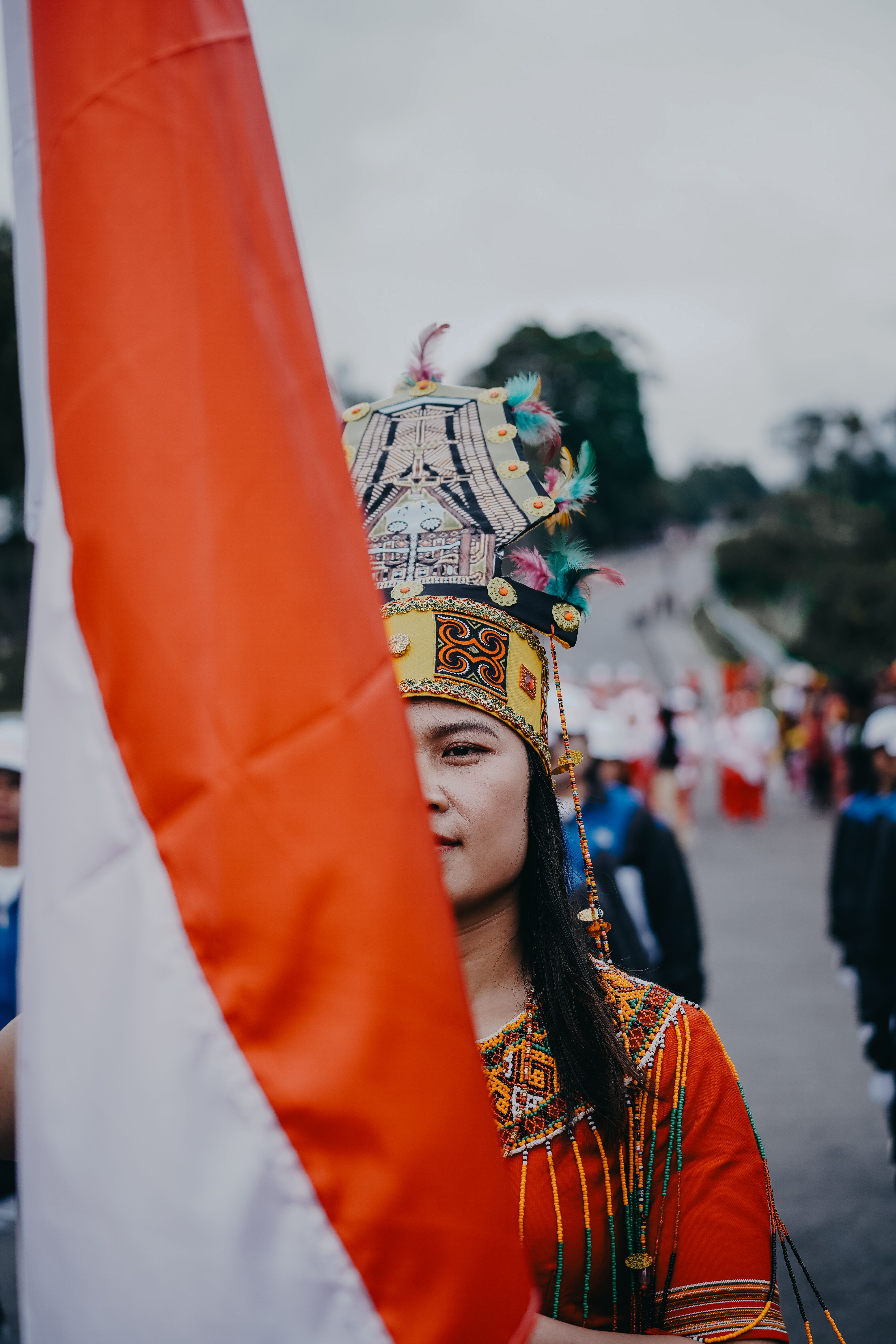 Traditional Parade with Cultural Attire and Flags · Free Stock Photo
