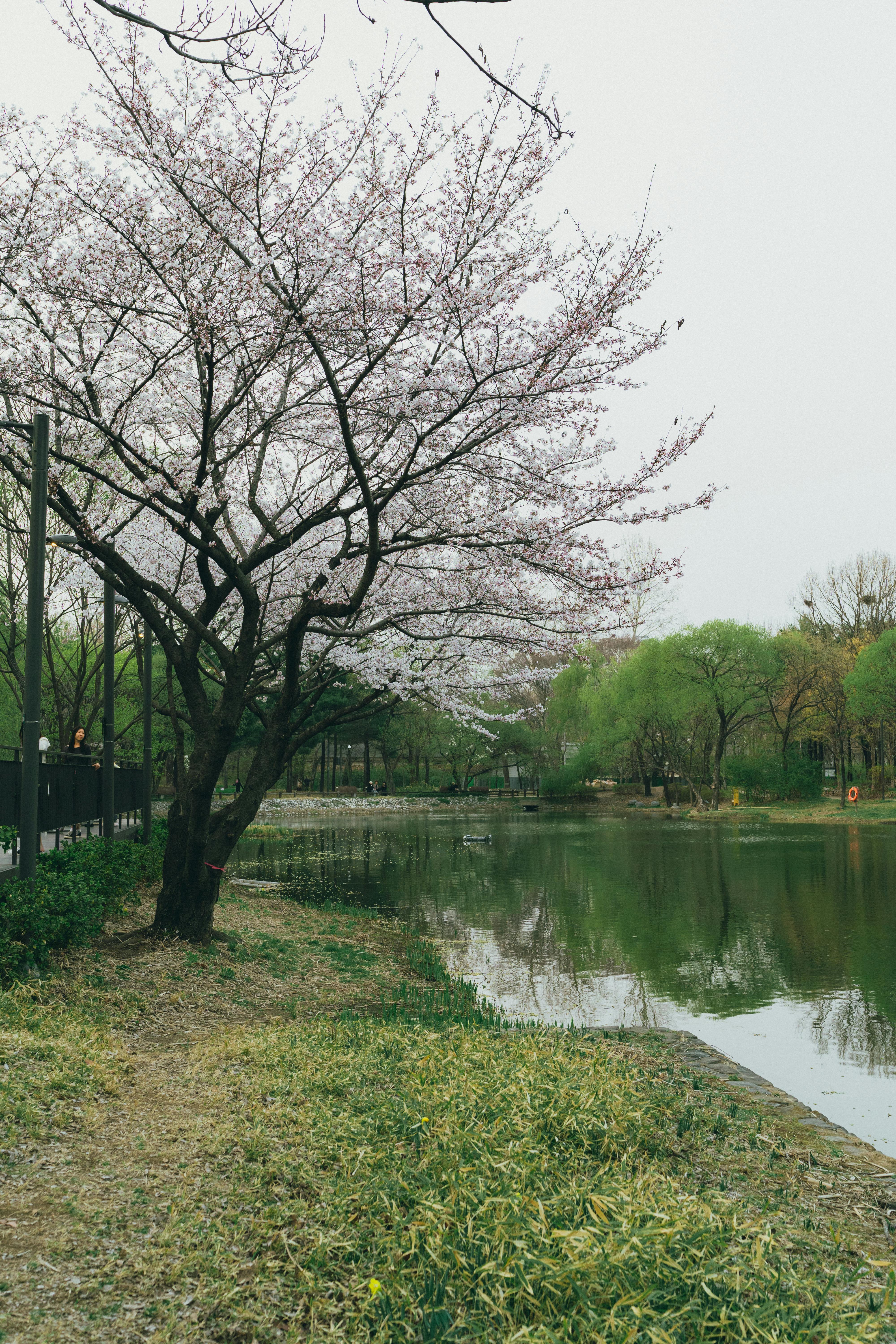 1,000,000+ ภาพถ่าย Acer Desktop Nature Wallpaper ที่ดีที่สุด · ดาวน์ ...