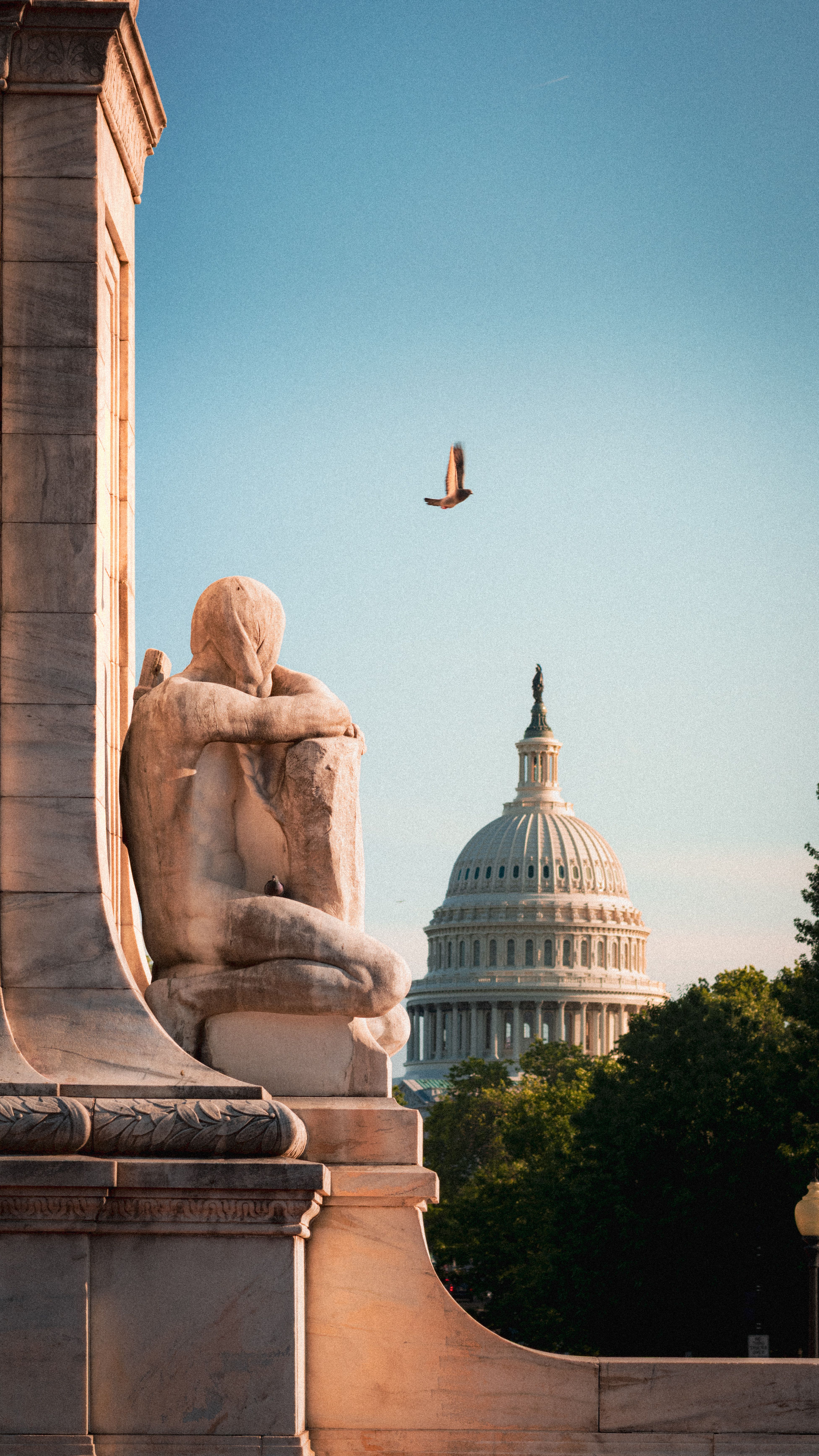 Washington DC Capitol Building with Statue · Free Stock Photo