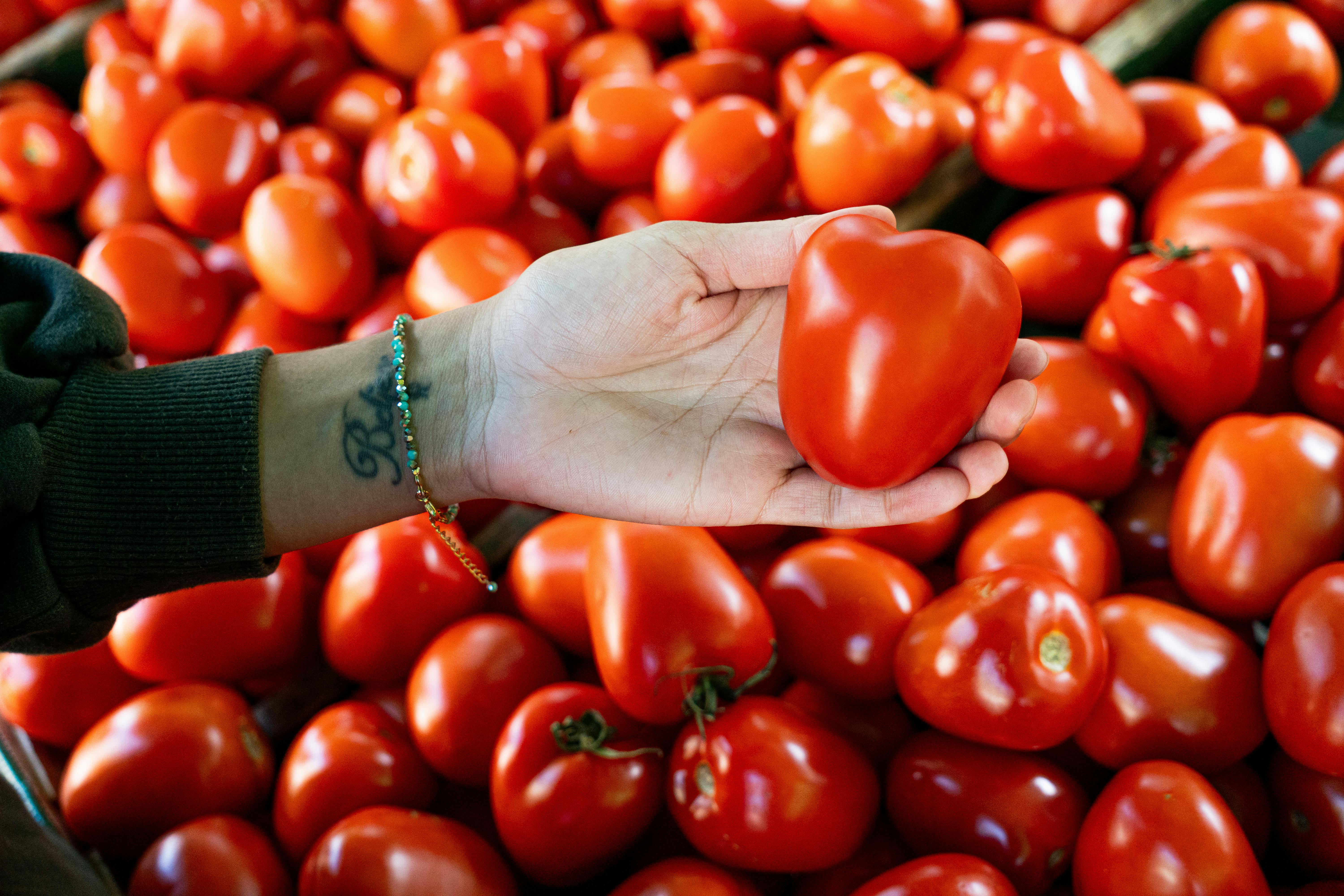 Bounty Posters Photos, Download The BEST Free Bounty Posters Stock ...