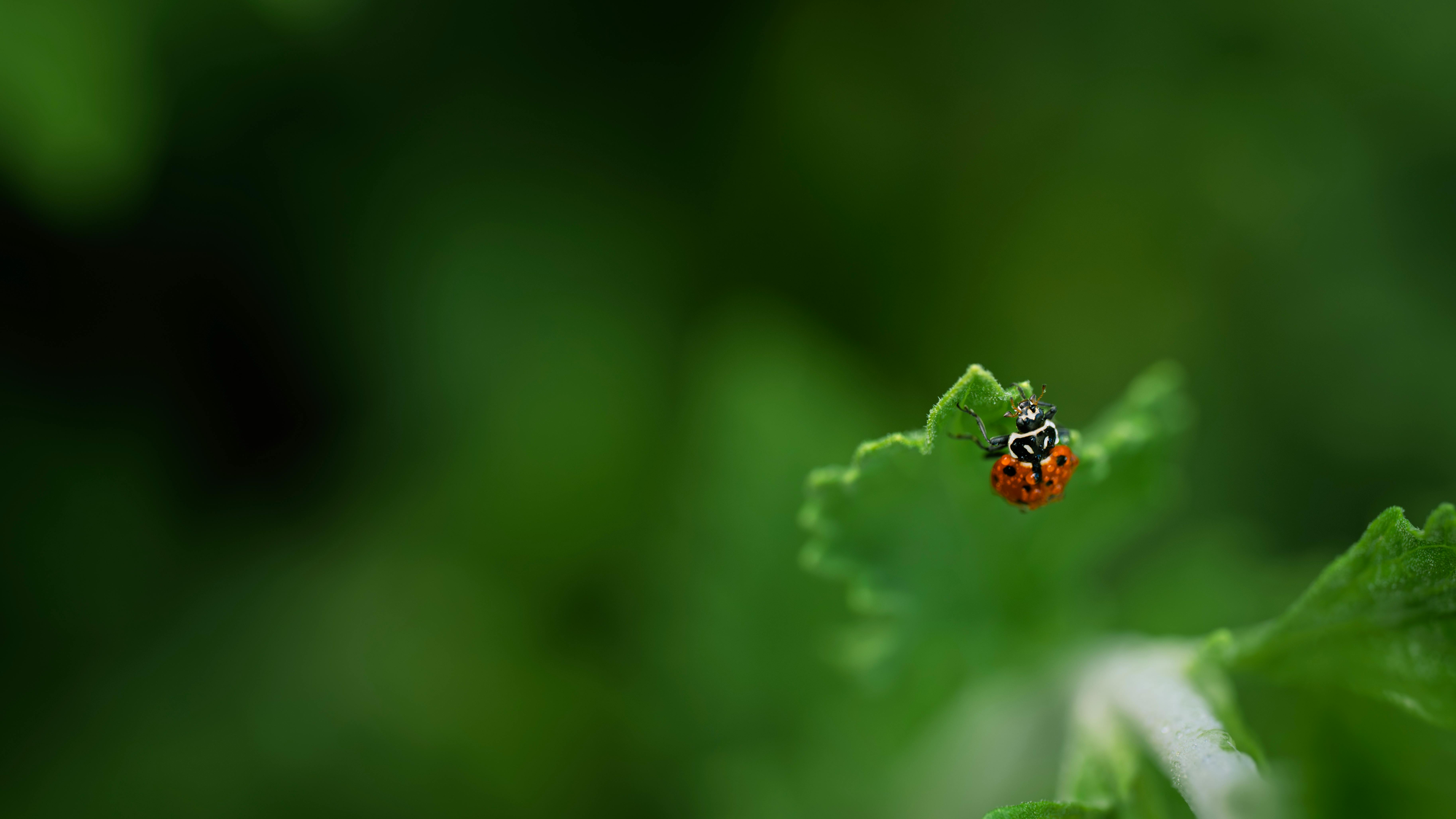 Cancelled Image Photos, Download The BEST Free Cancelled Image Stock ...