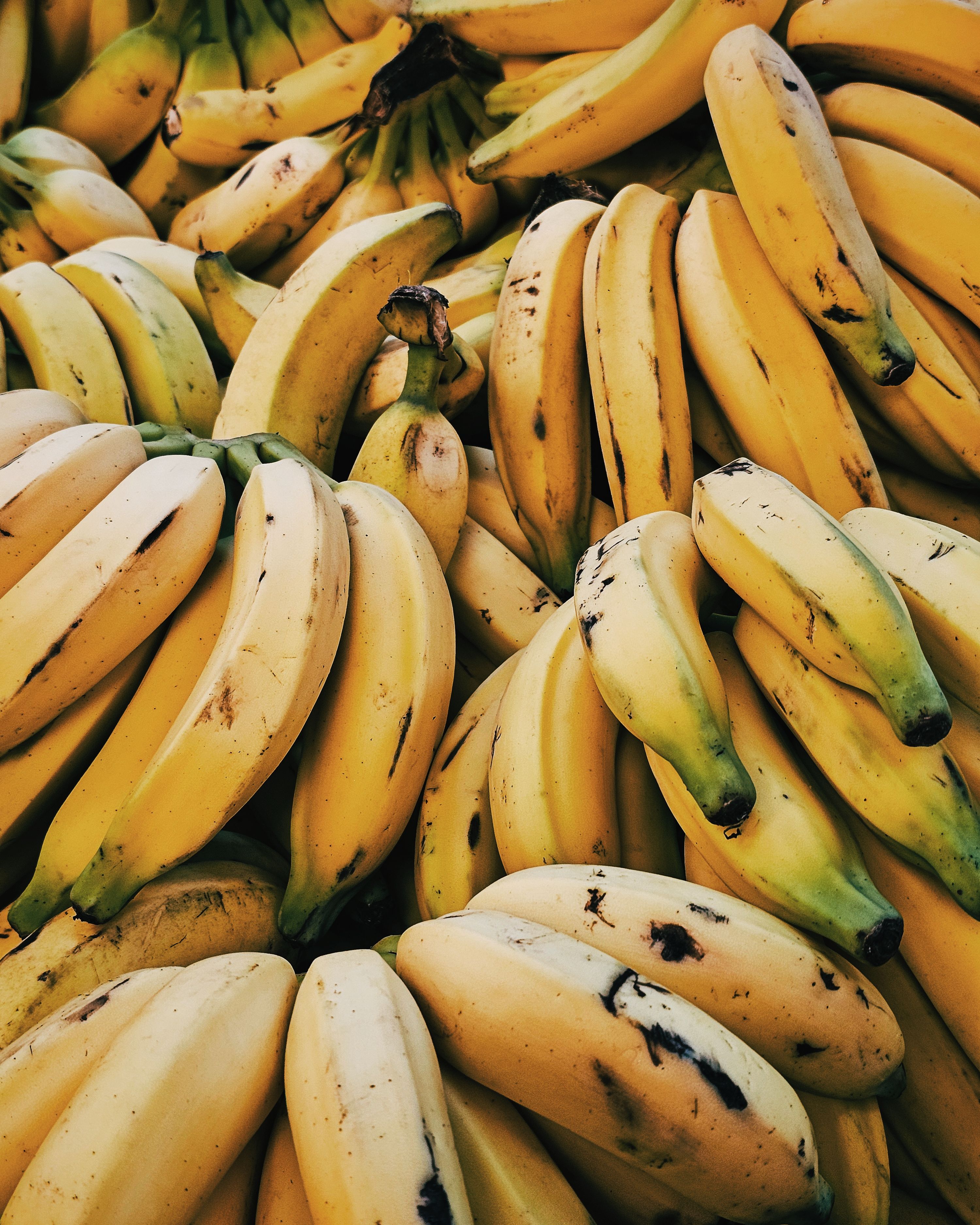Banana Patterns Photos, Download The BEST Free Banana Patterns Stock ...