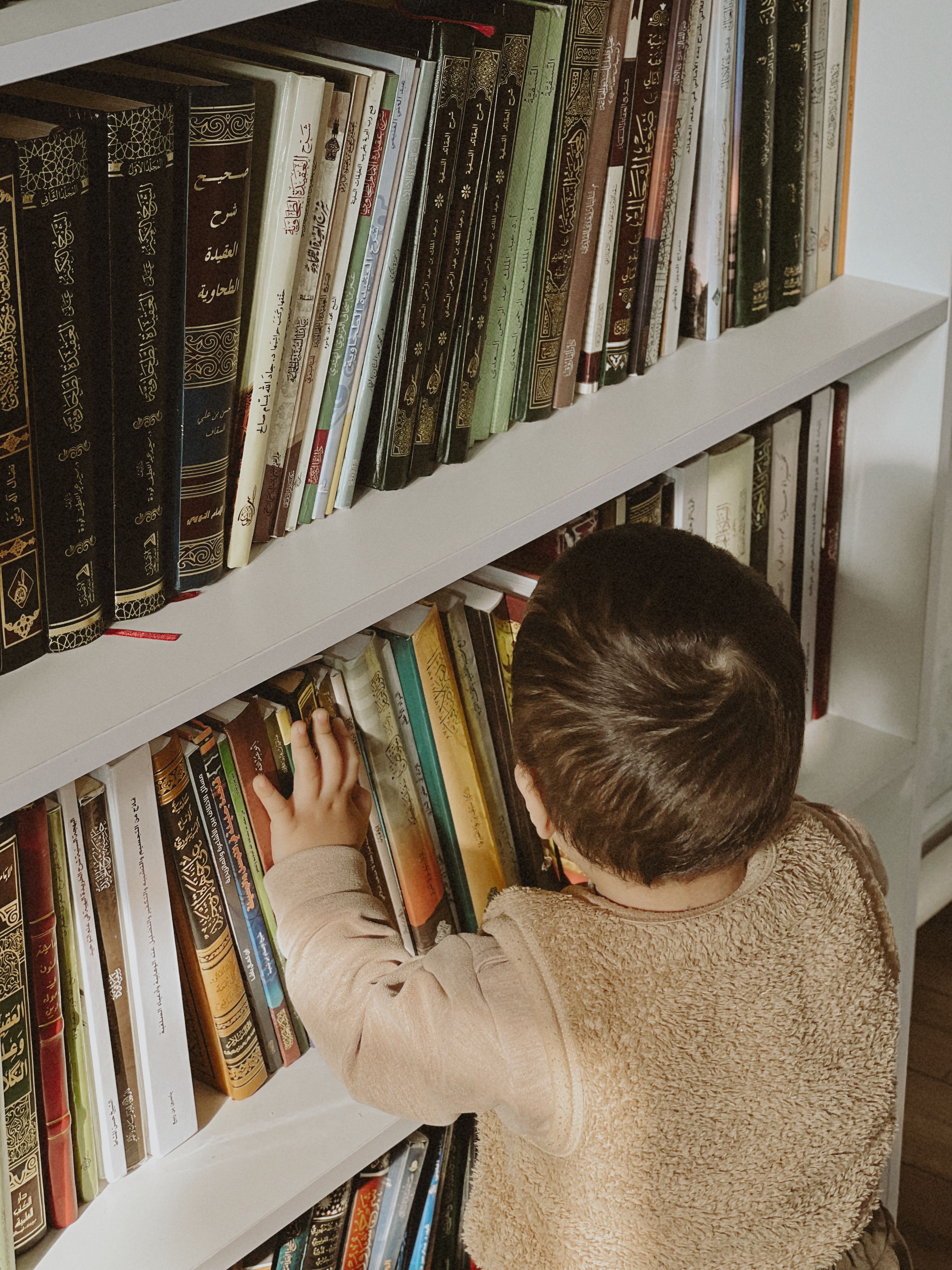 Young Child Exploring Bookshelf with Curiosity · Free Stock Photo