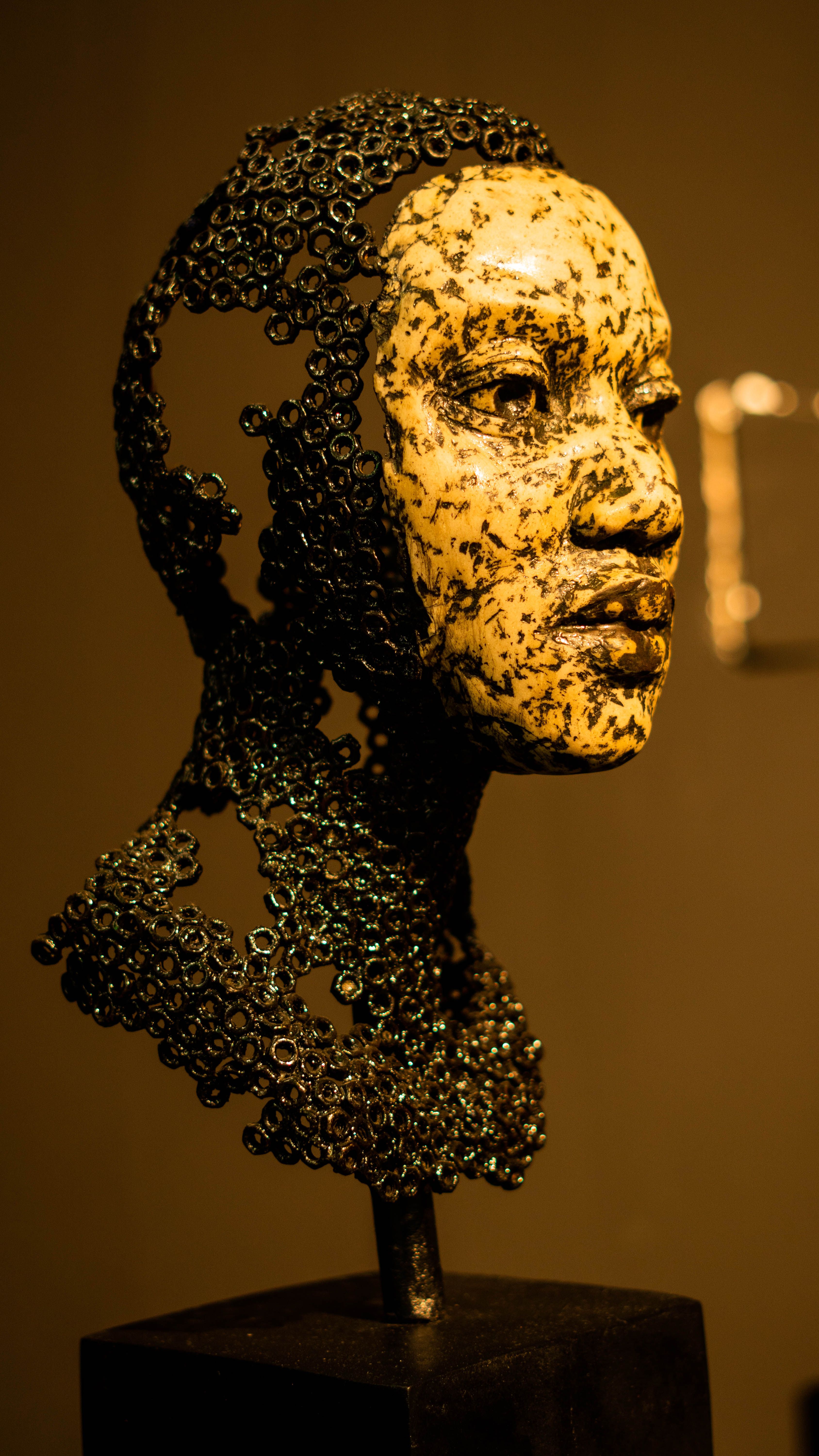 Human Head Photos, Download The BEST Free Human Head Stock Photos & HD ...