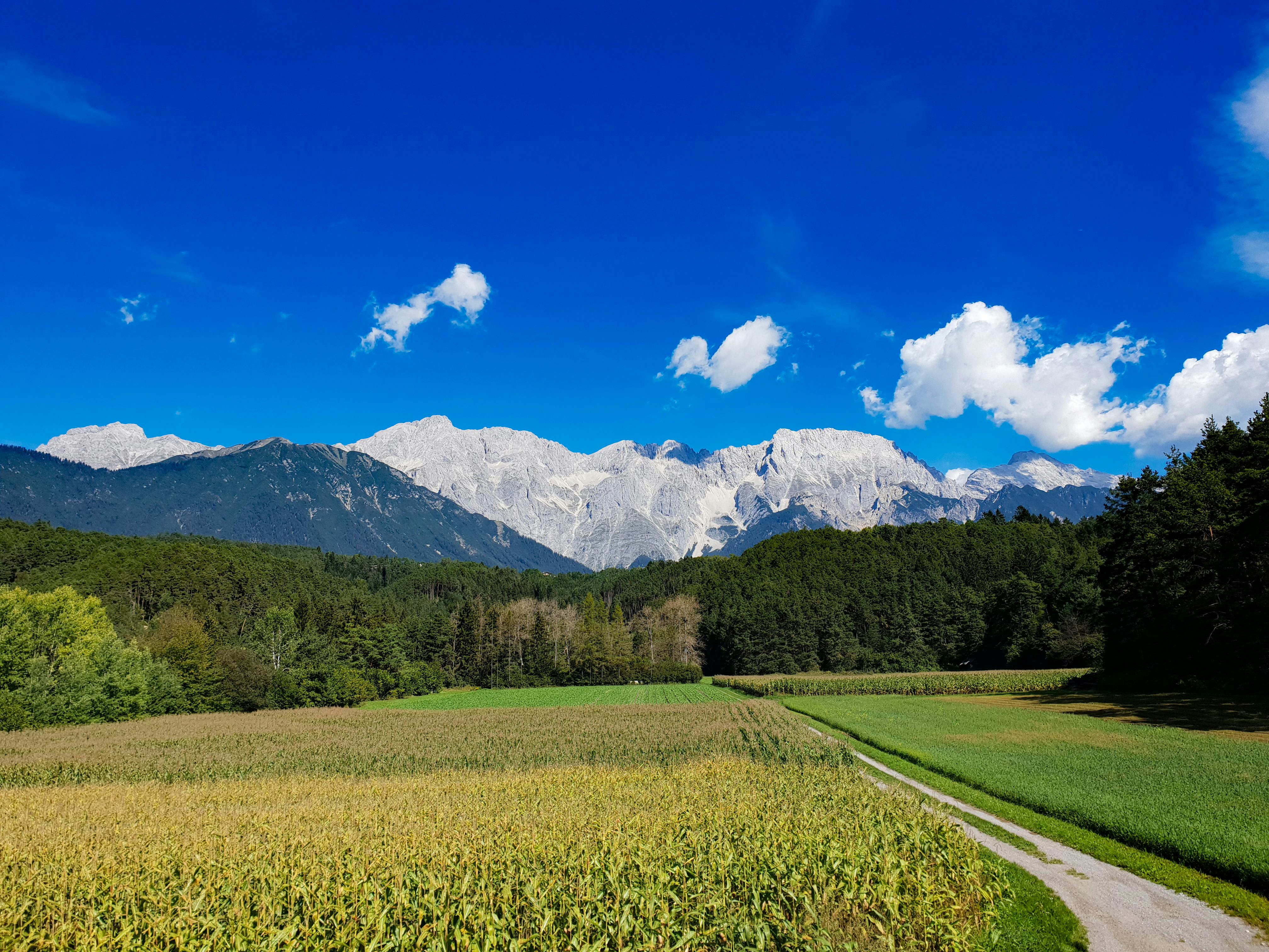 Scenic Bavarian Alps Landscape on a Clear Day · Free Stock Photo