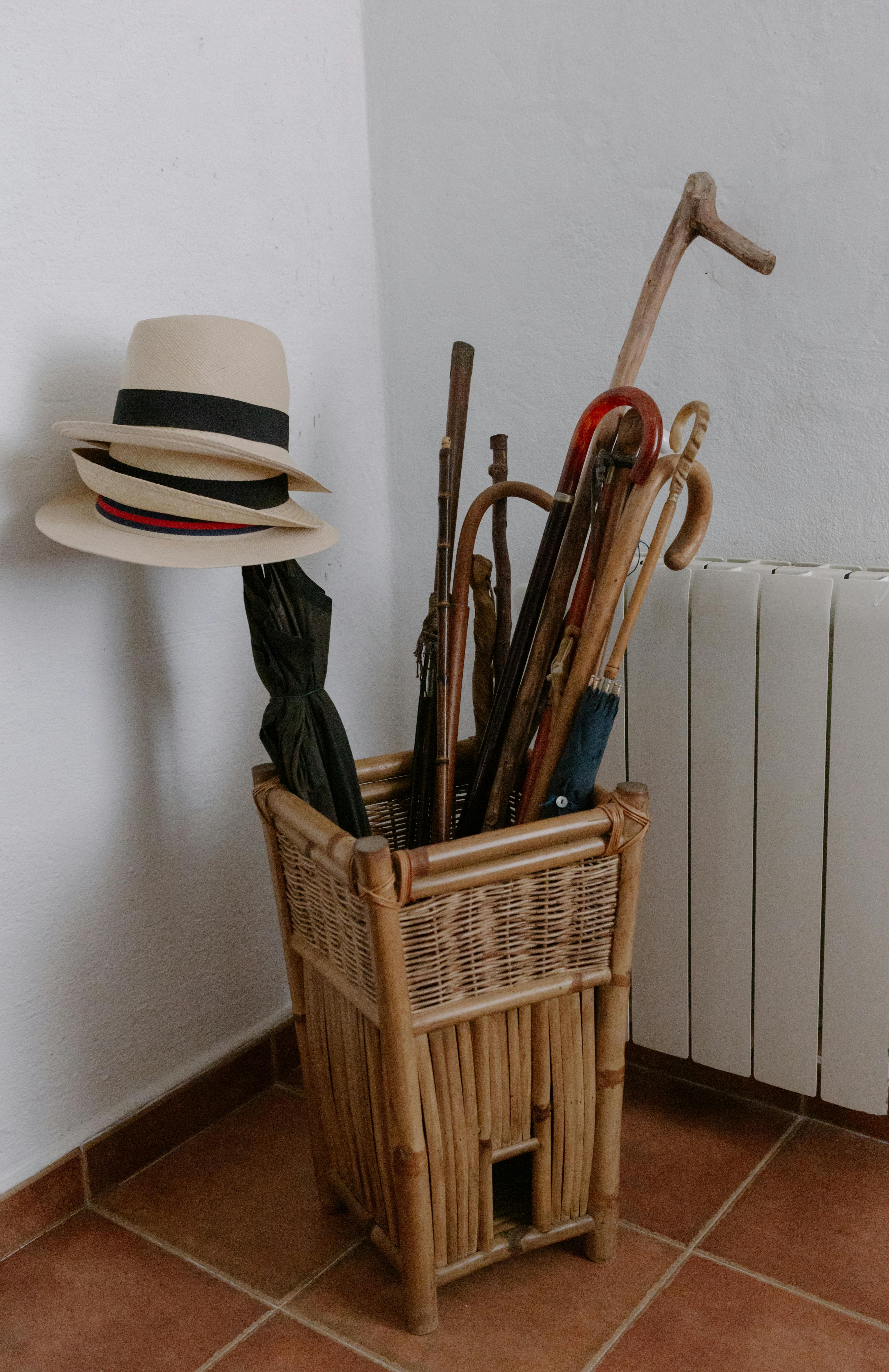 Cane Display Photos, Download The BEST Free Cane Display Stock Photos ...