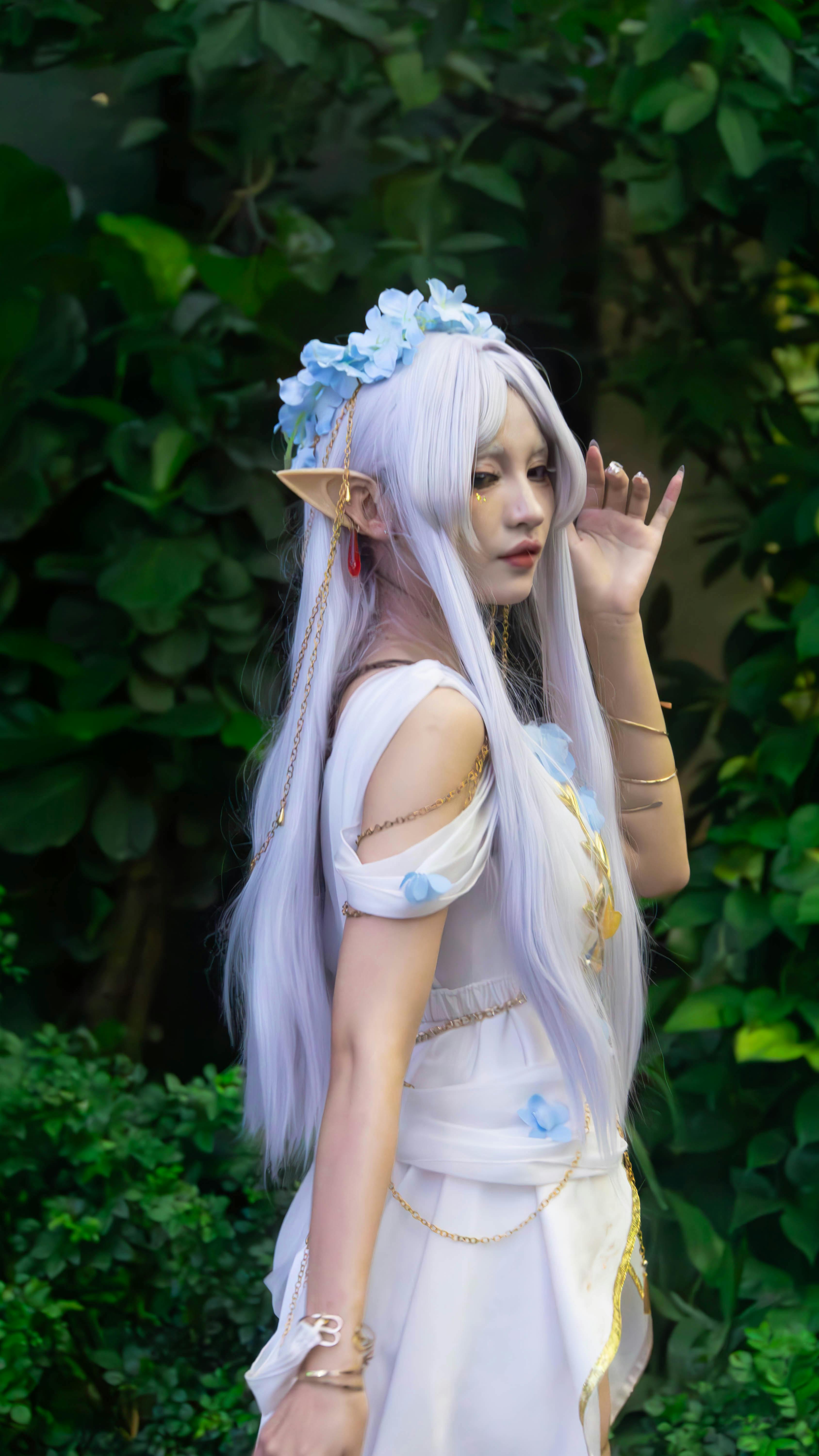 Fairy Cure Photos, Download The BEST Free Fairy Cure Stock Photos & HD ...