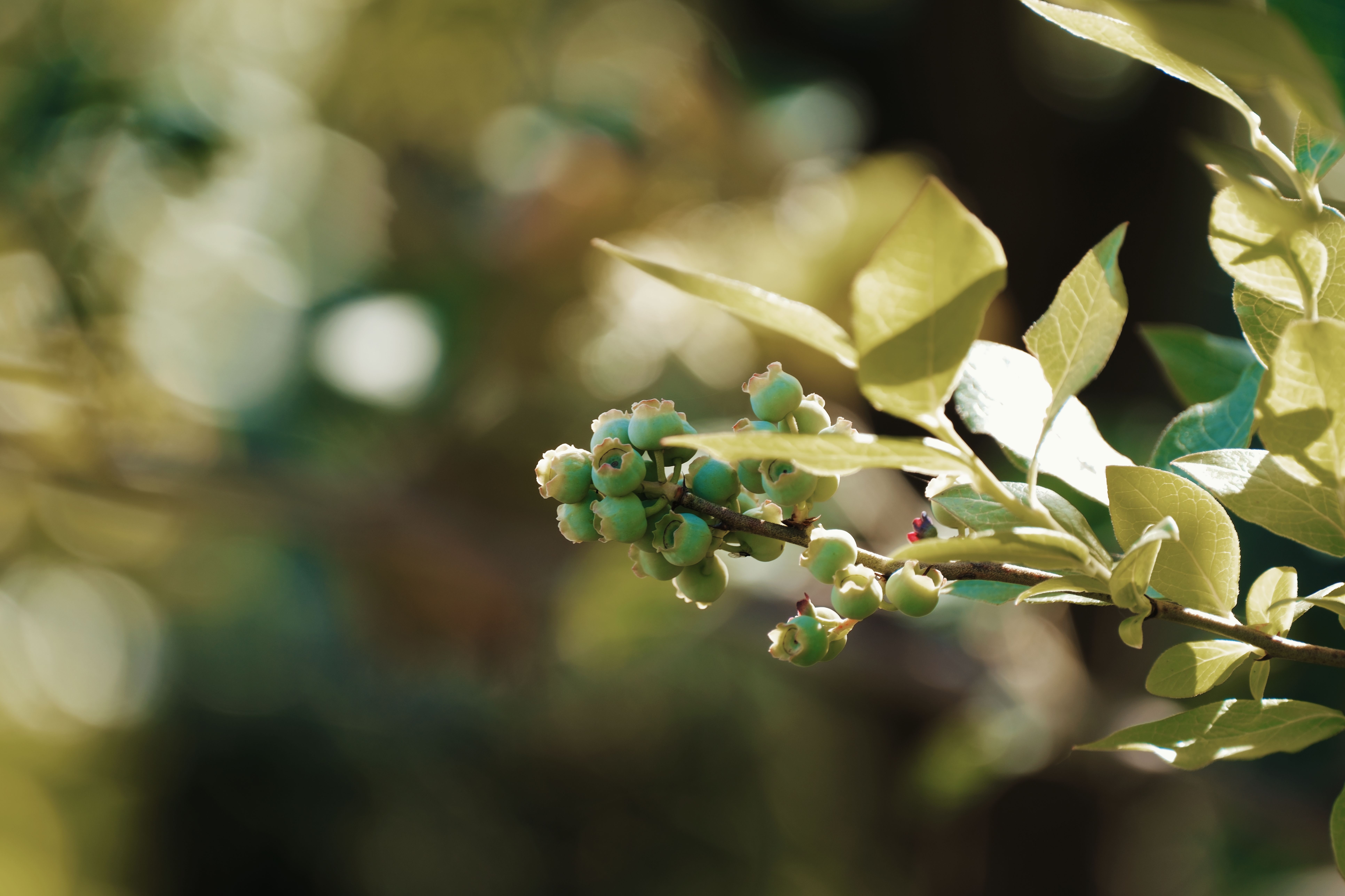 Details Photos, Download The BEST Free Details Stock Photos & HD Images