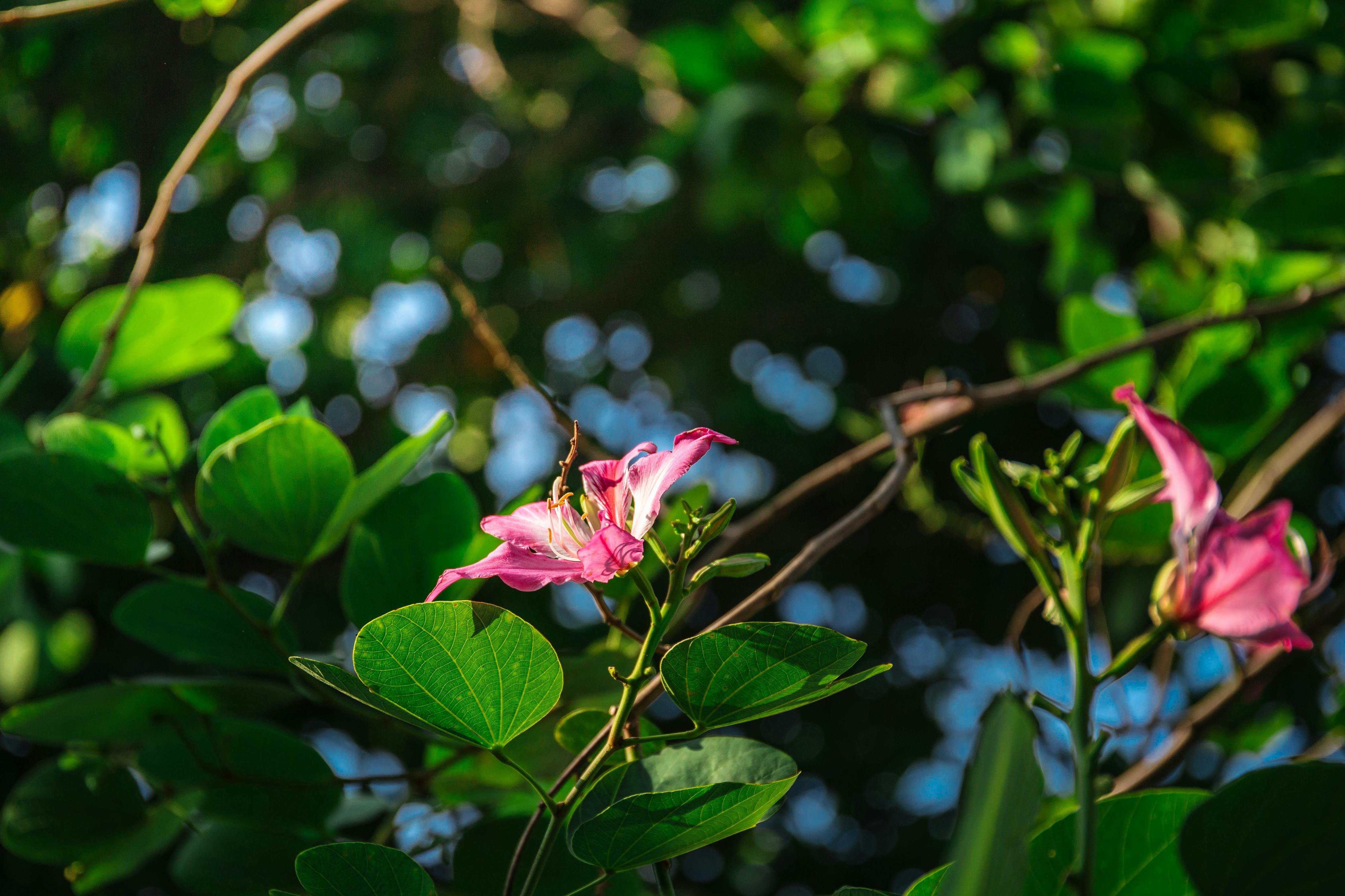 Terumbu Karang Tropics Photos, Download The BEST Free Terumbu Karang ...