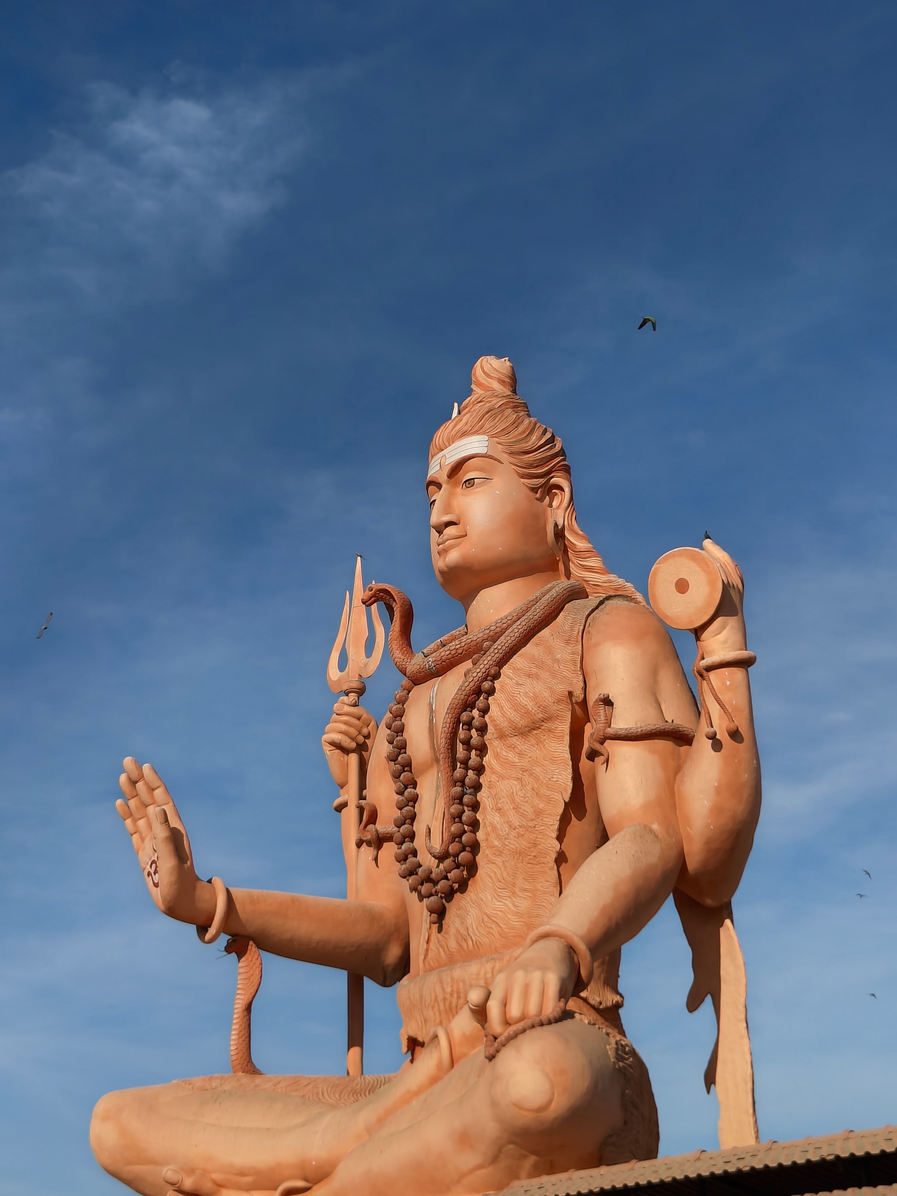 Sivan God Photos, Download The BEST Free Sivan God Stock Photos & HD Images