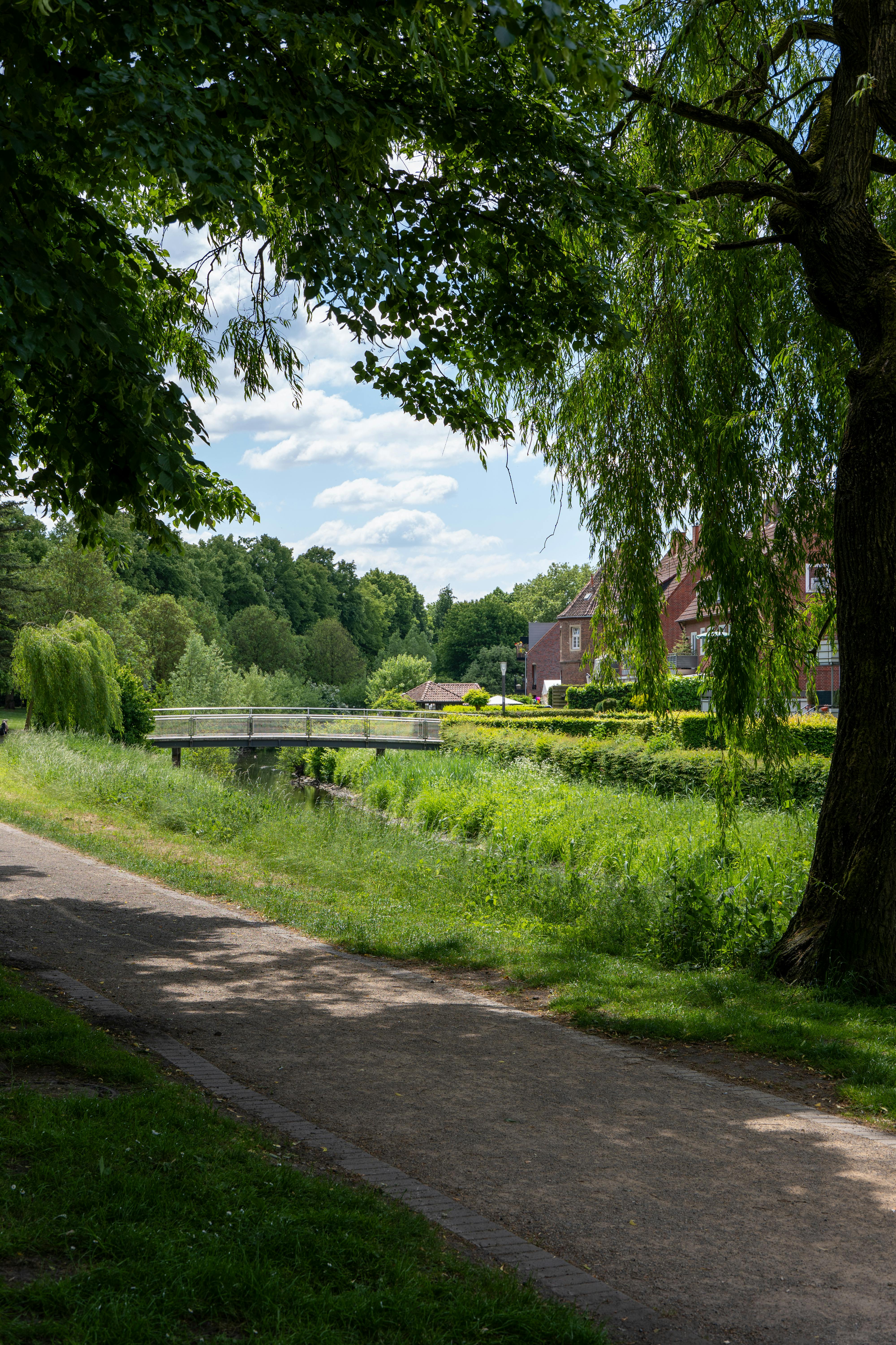 Charming Summer Landscape with Riverside Pathway · Free Stock Photo