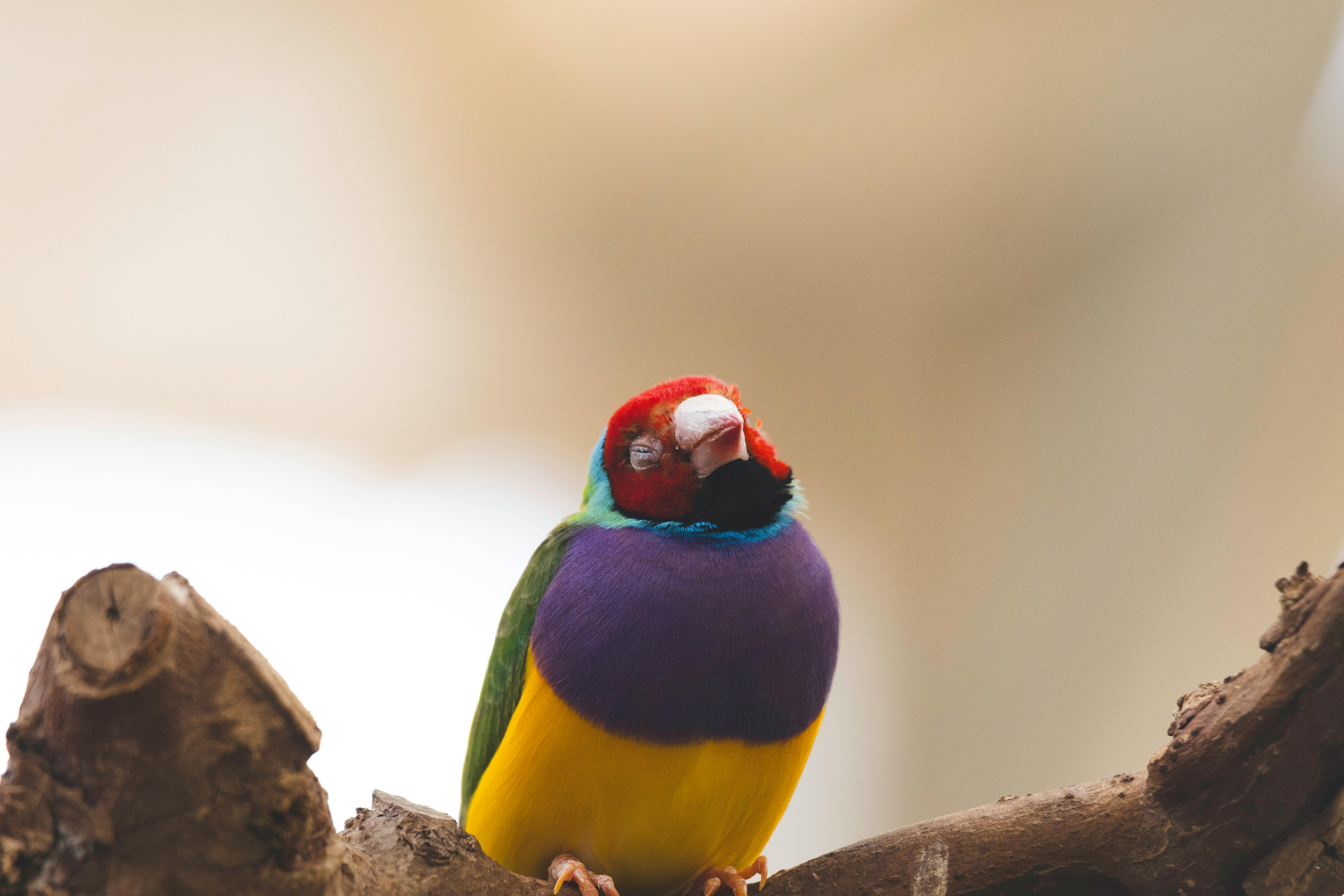 Natural Background Photos, Download The BEST Free Natural Background ...