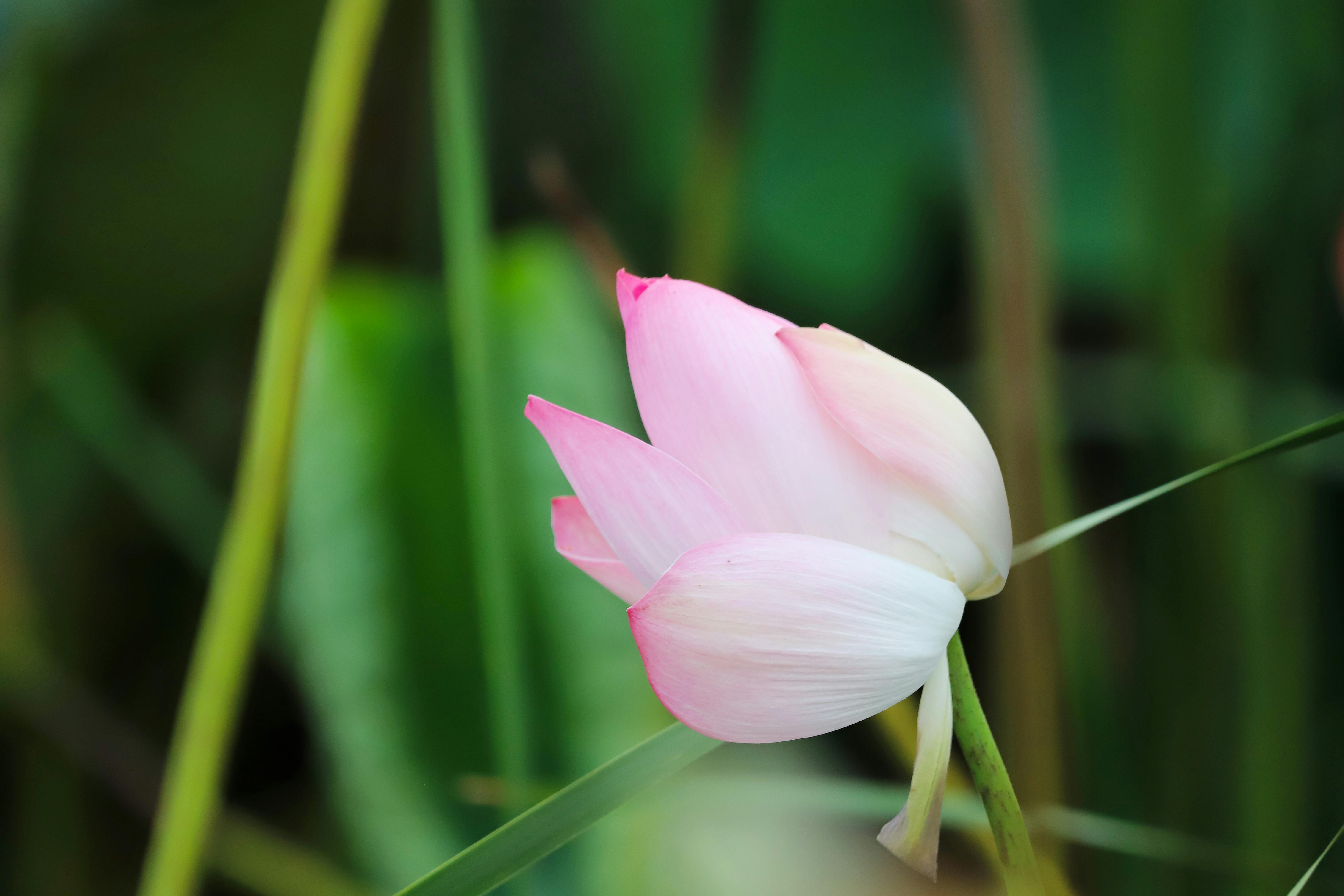 Sensitive Photos, Download The BEST Free Sensitive Stock Photos & HD Images