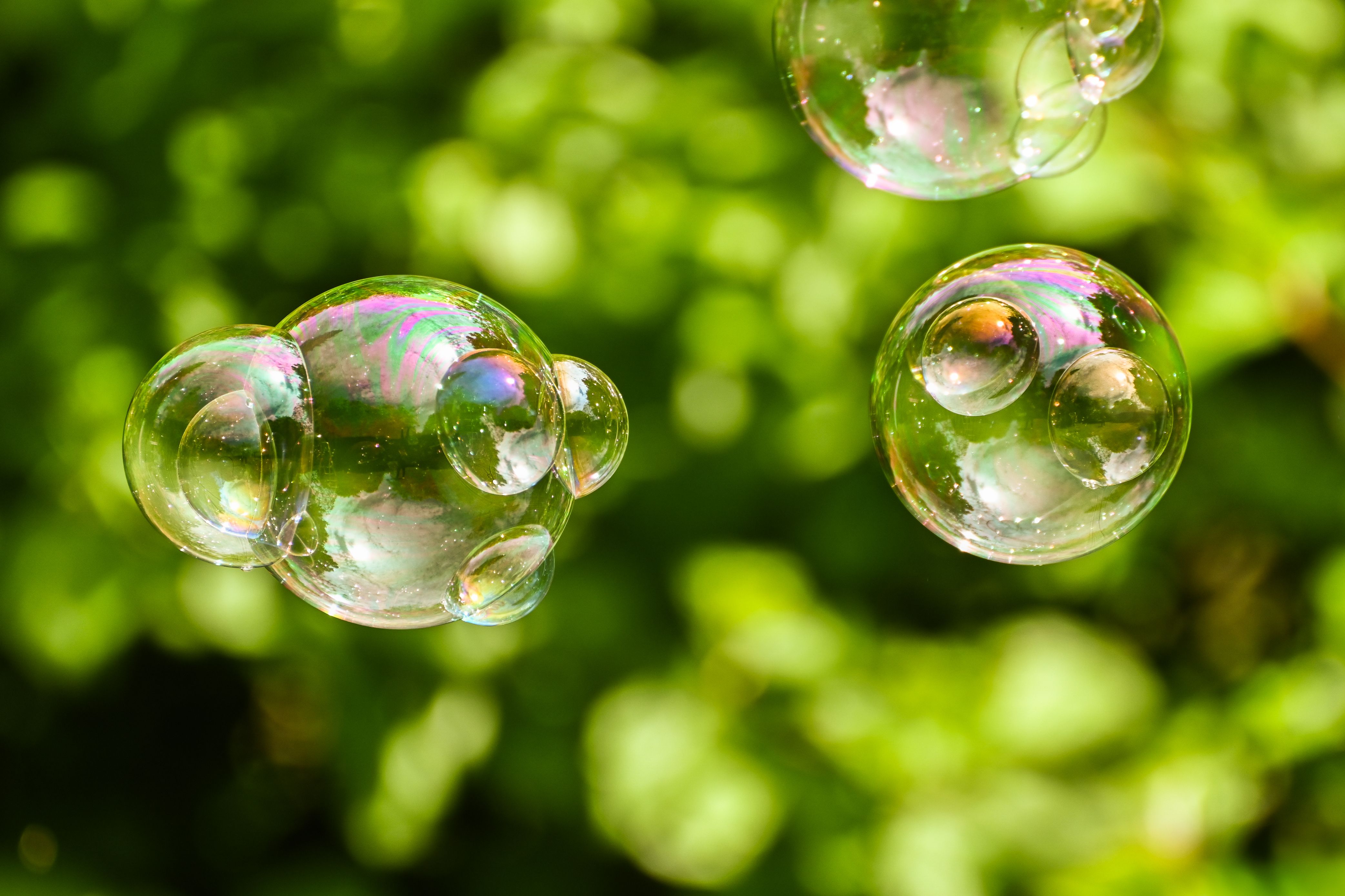 Colorful Soap Bubbles Floating in Nature · Free Stock Photo