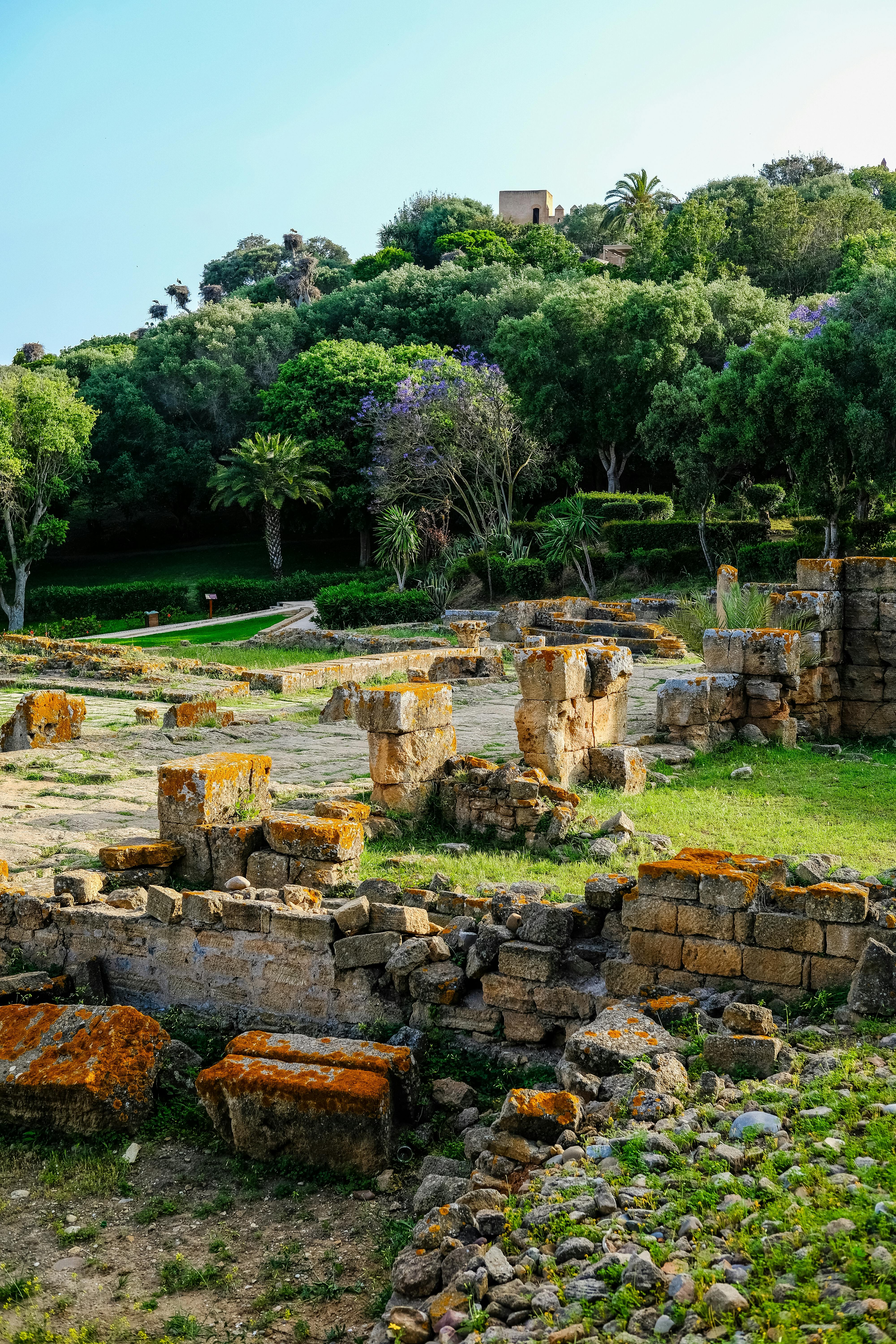 Ancient Roman Ruins in Chellah Gardens, Rabat · Free Stock Photo