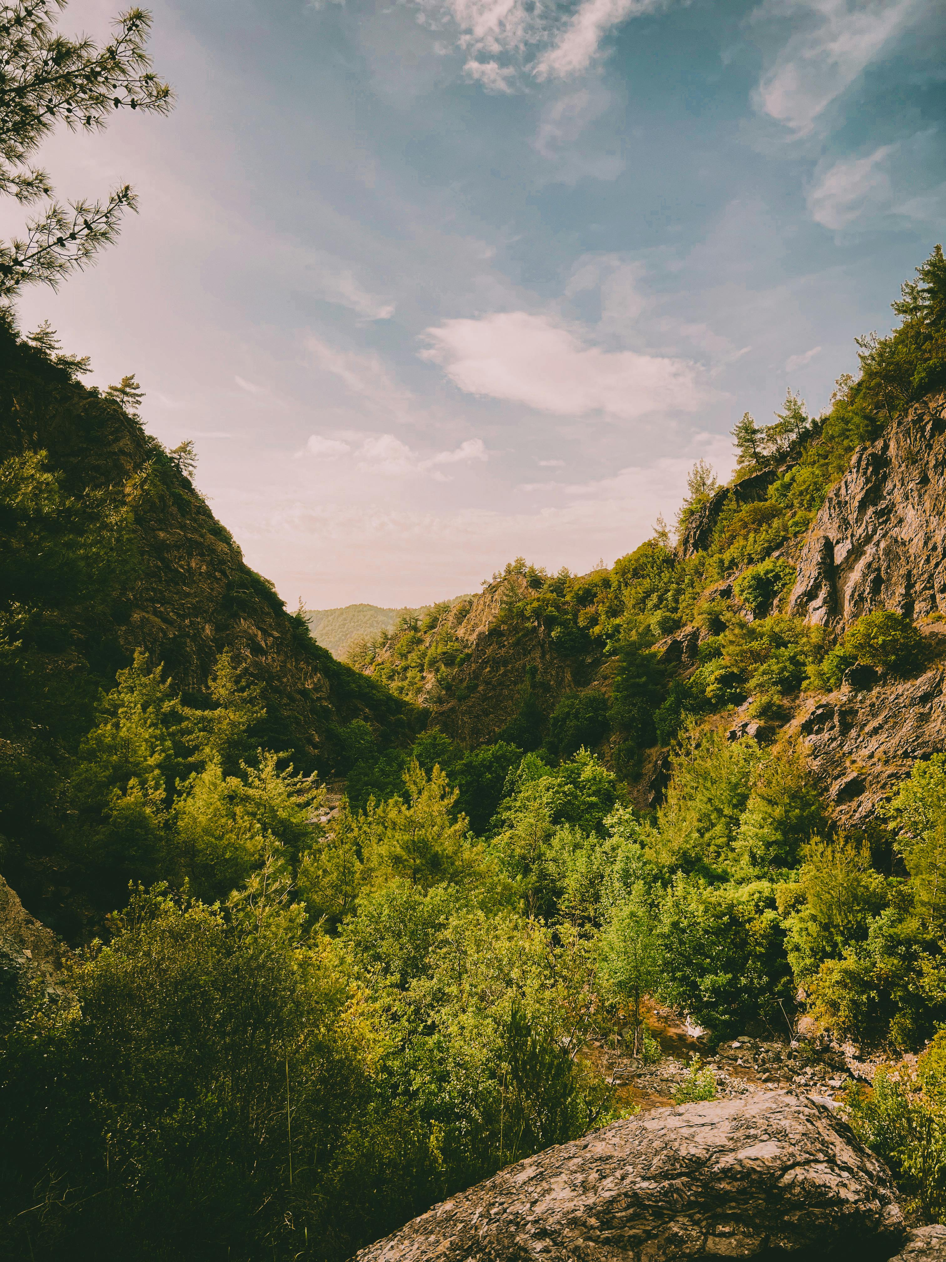 Scenic Forested Canyon under Clear Sky · Free Stock Photo