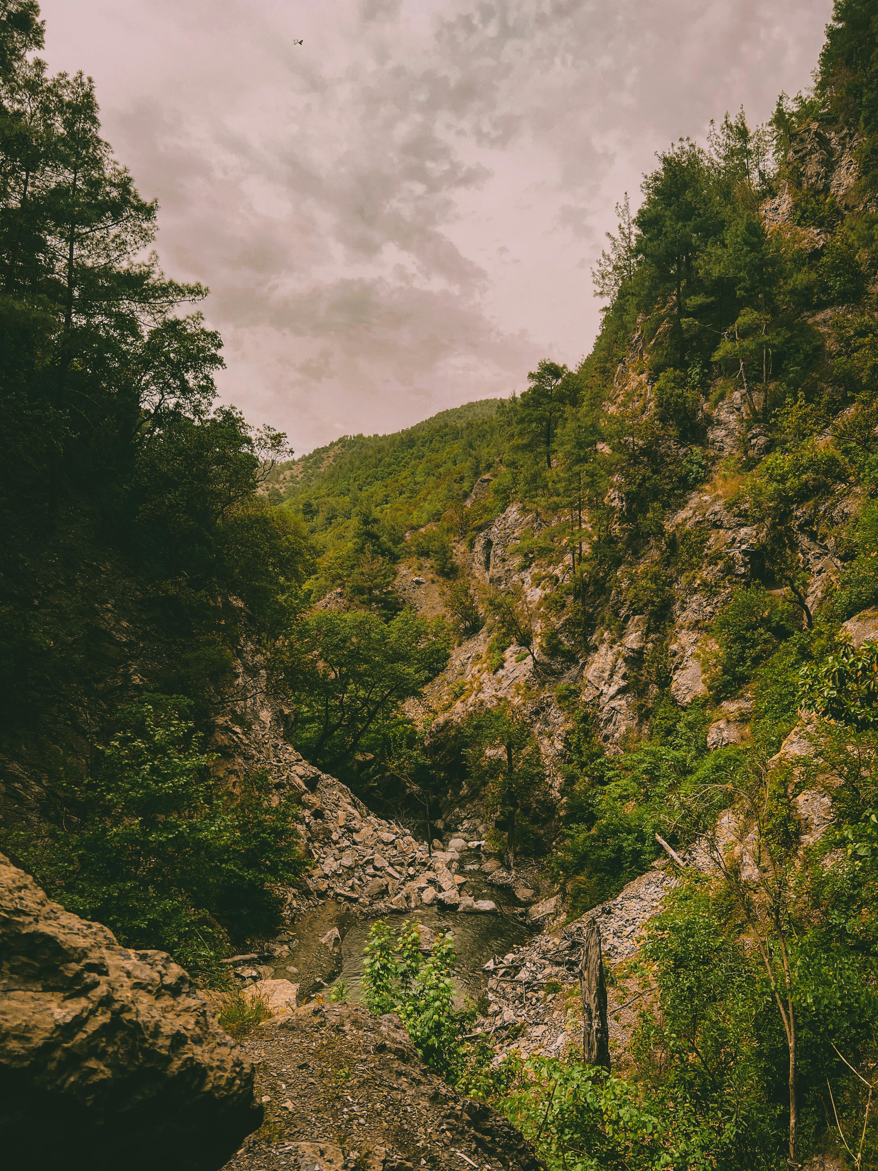 Scenic Gorge with Lush Greenery and Rocky Terrain · Free Stock Photo