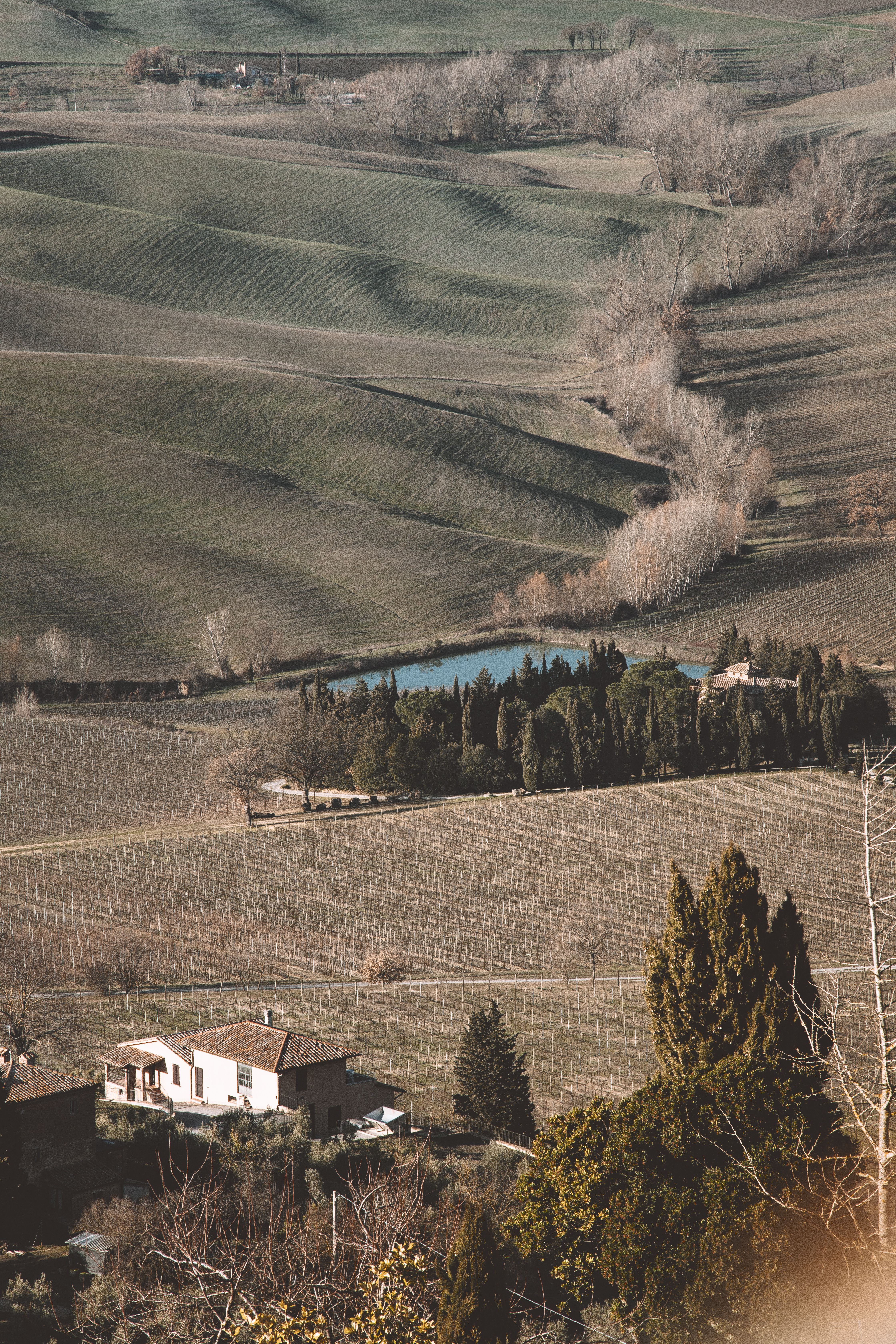 Movie Tuscan Photos, Download The BEST Free Movie Tuscan Stock Photos ...