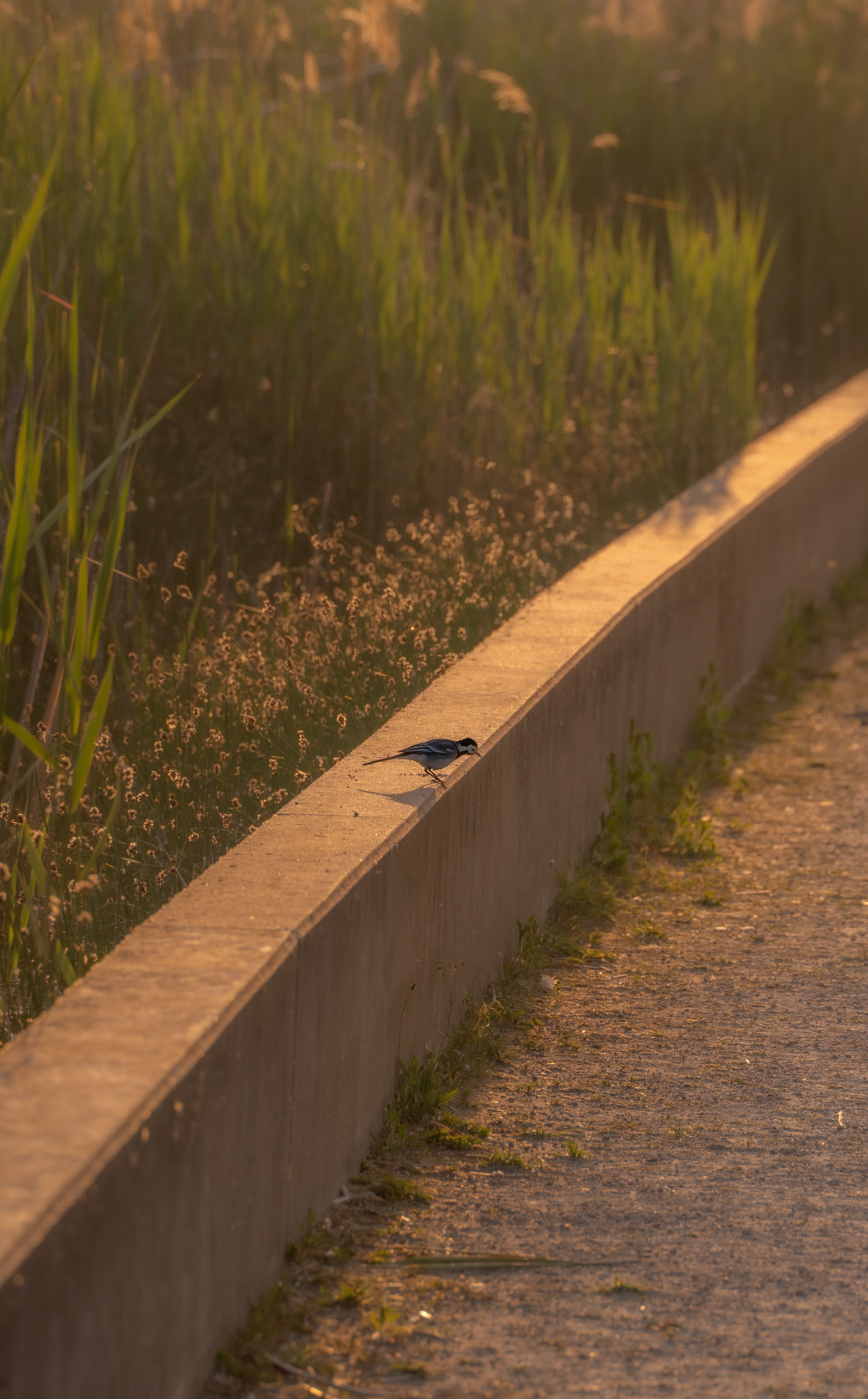 Quiet Photos, Download The BEST Free Quiet Stock Photos & HD Images