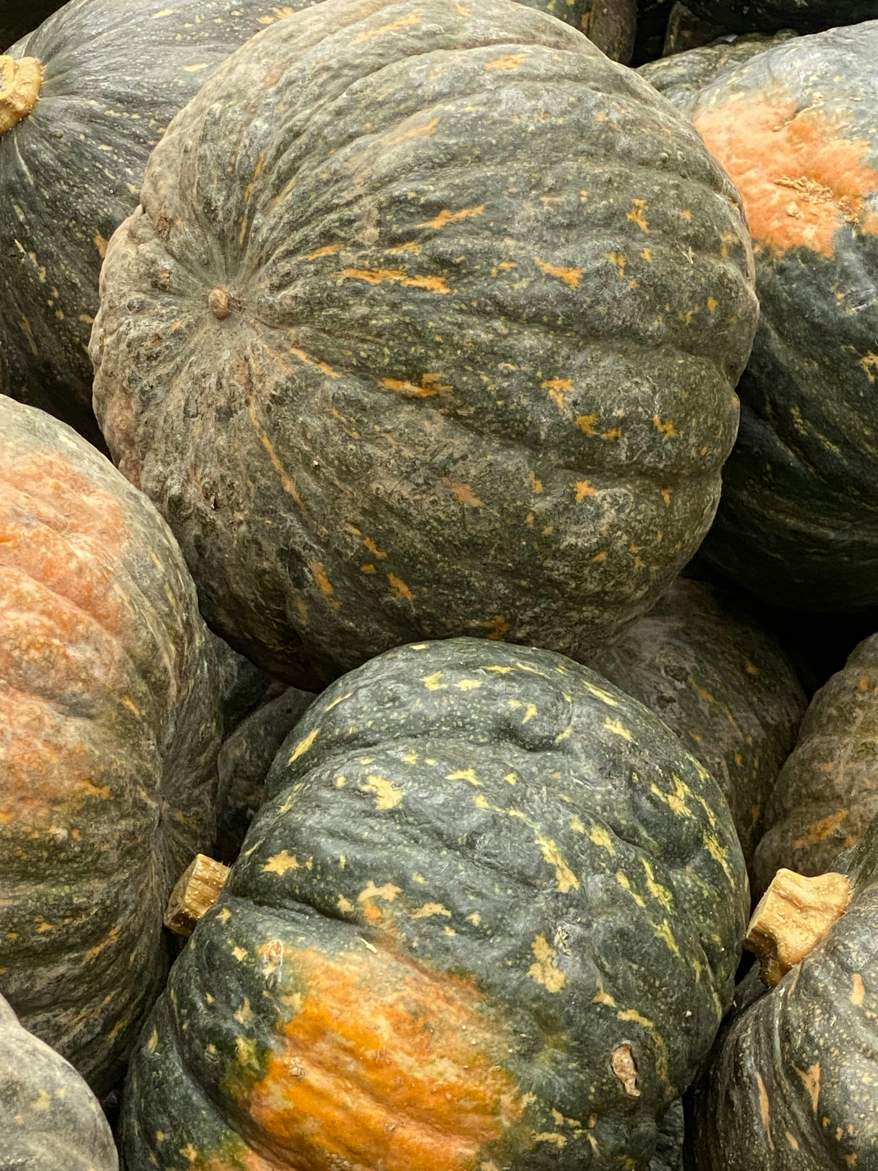 Gorog Mitologia Slit Fiber Photos, Download The BEST Free Gorog ...