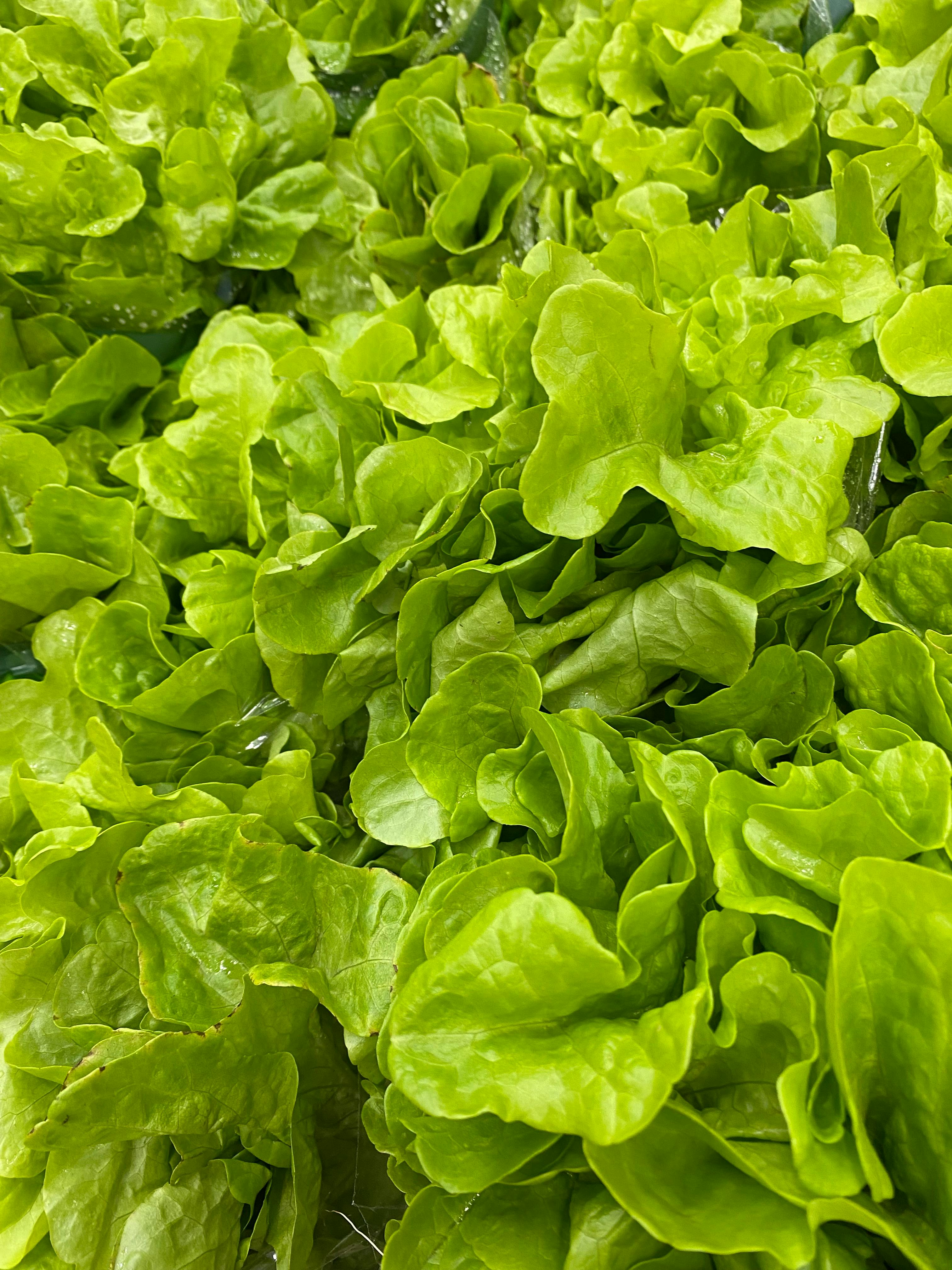 Raw Pixels Photos, Download The BEST Free Raw Pixels Stock Photos & HD ...