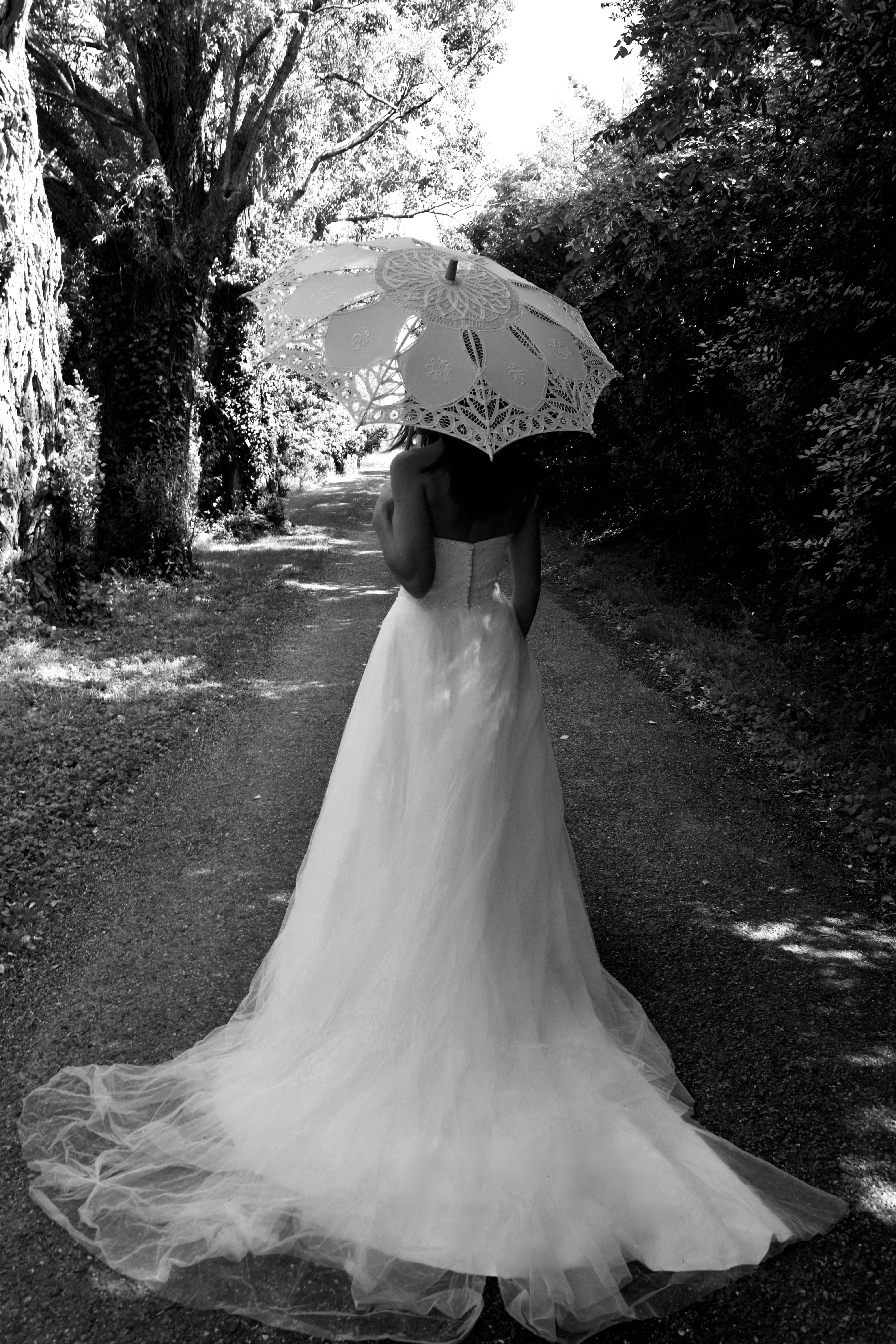 Elegant Bridal Portrait on Sunlit Pathway · Free Stock Photo