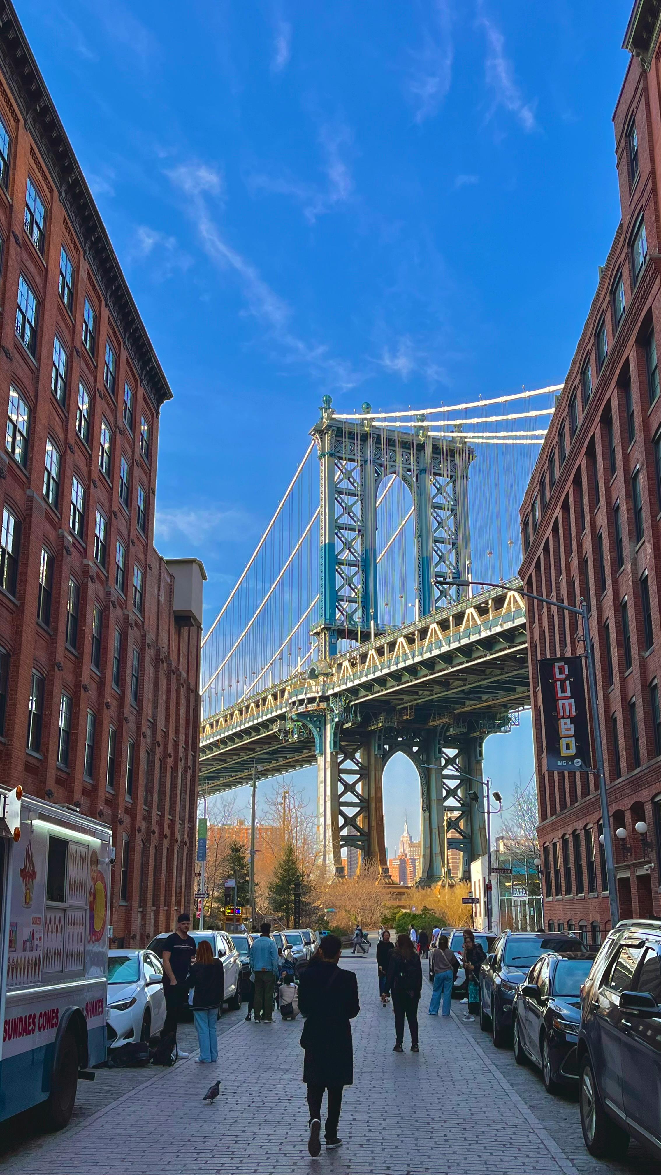 Dumbo Leves Photos, Download The BEST Free Dumbo Leves Stock Photos ...