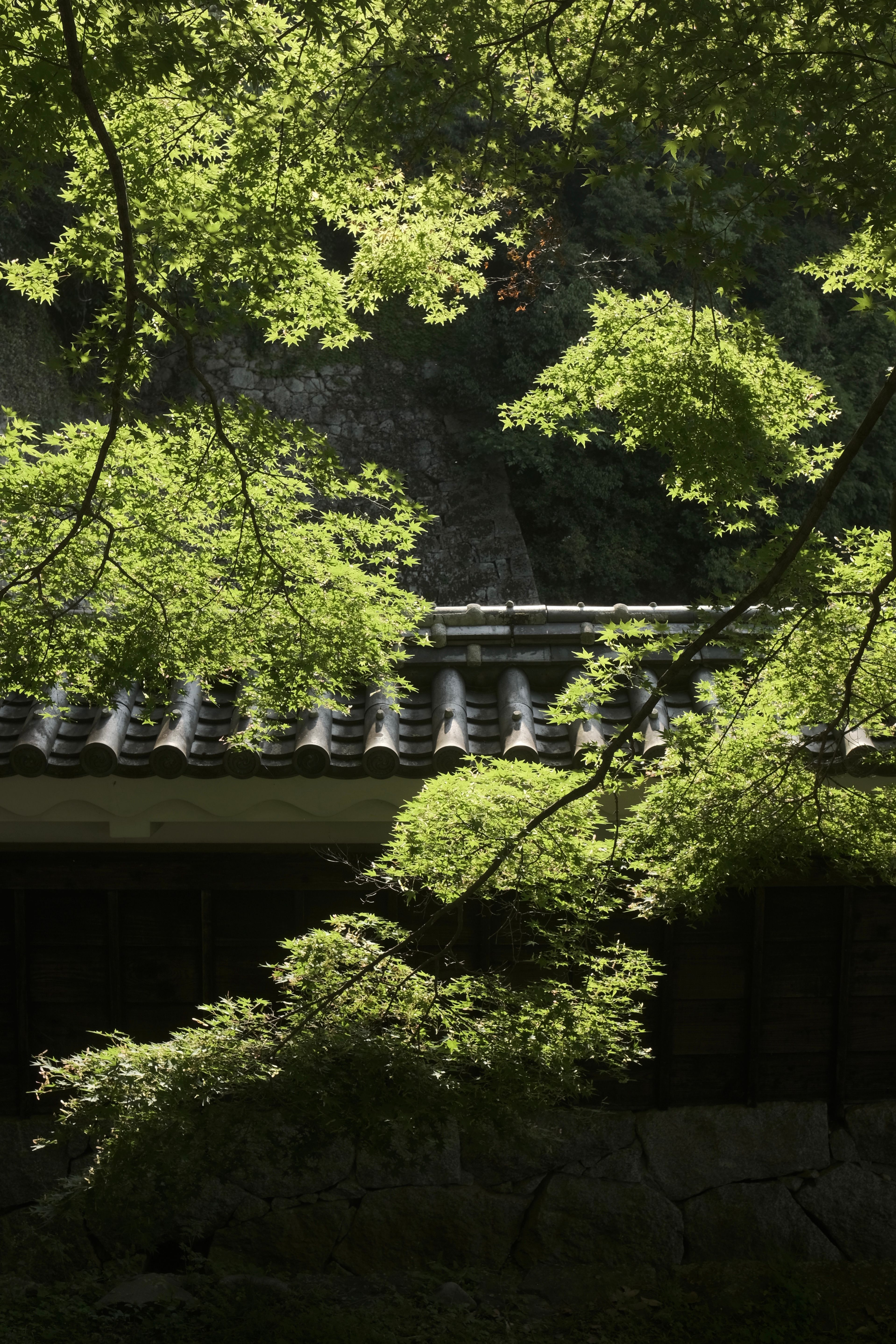 Serene View of Traditional Japanese Architecture · Free Stock Photo