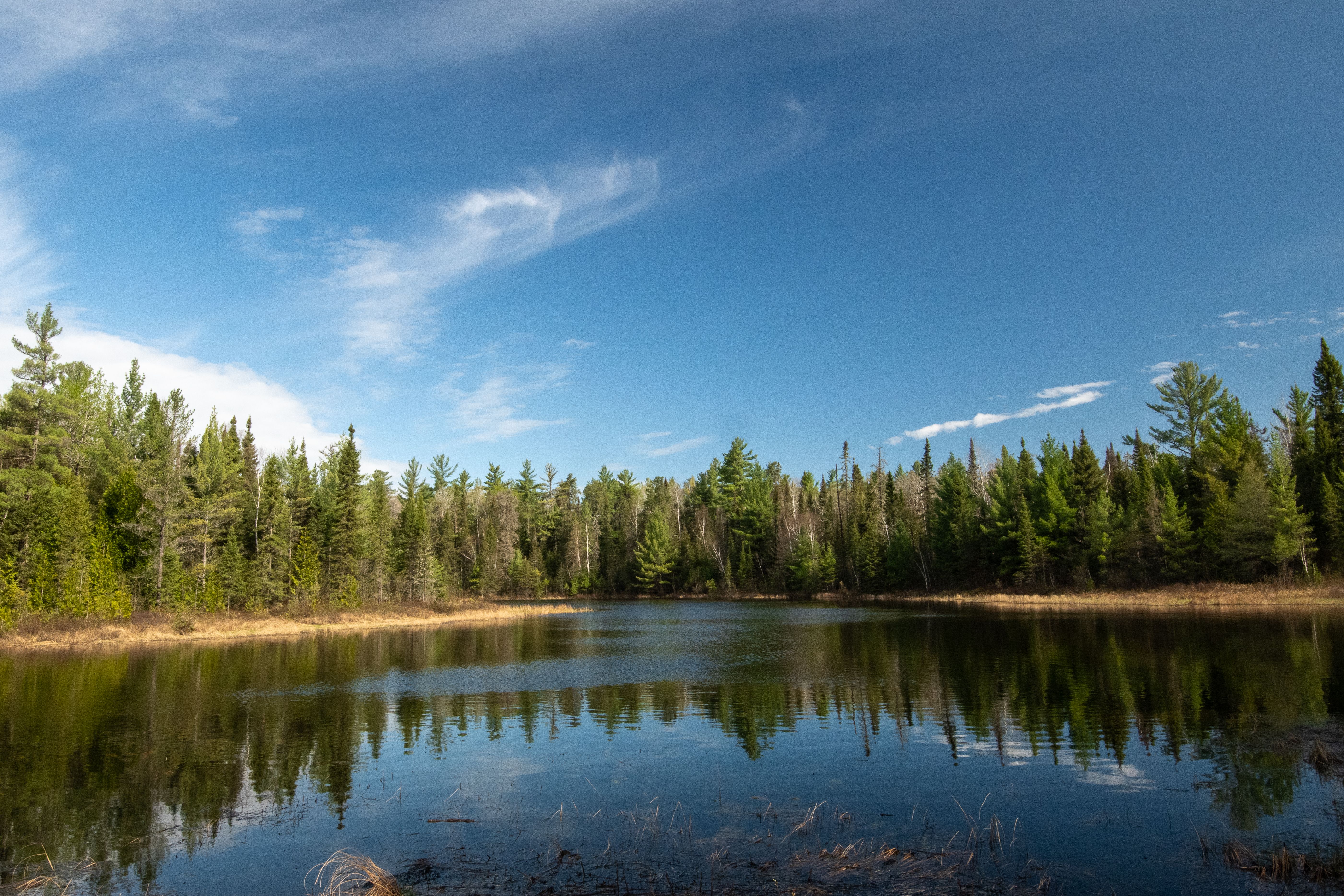Serene Lake View with Forest Reflection · Free Stock Photo