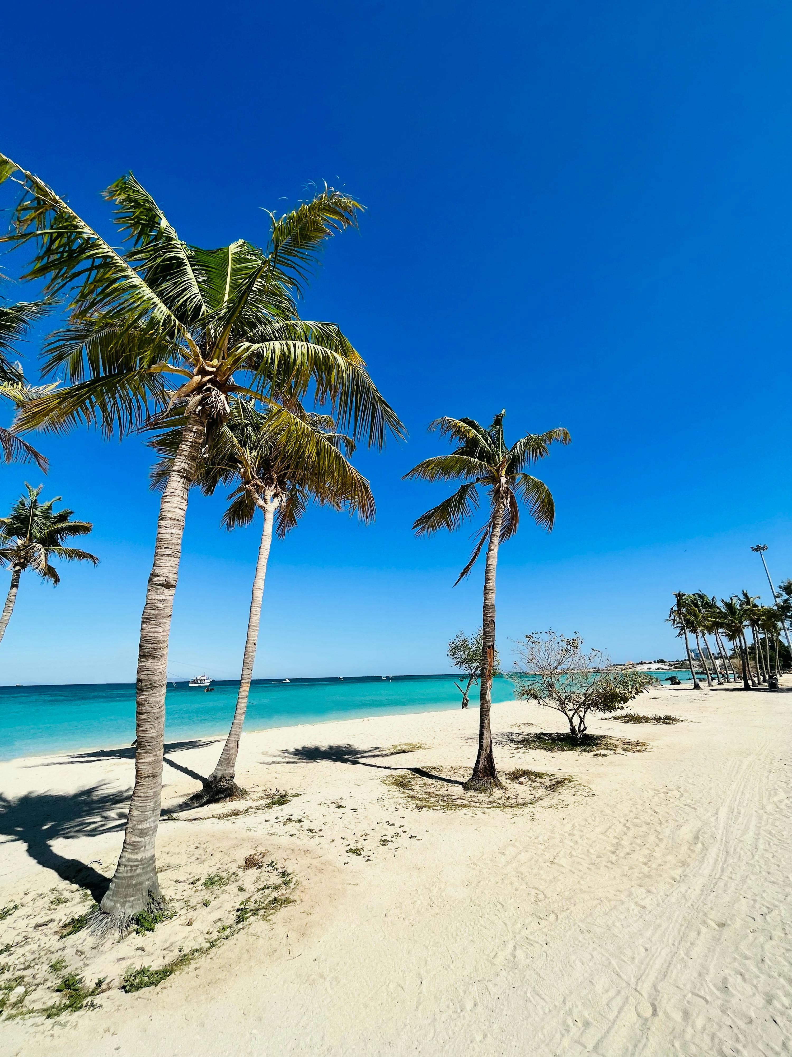 Iran Air Photos, Download The BEST Free Iran Air Stock Photos & HD Images